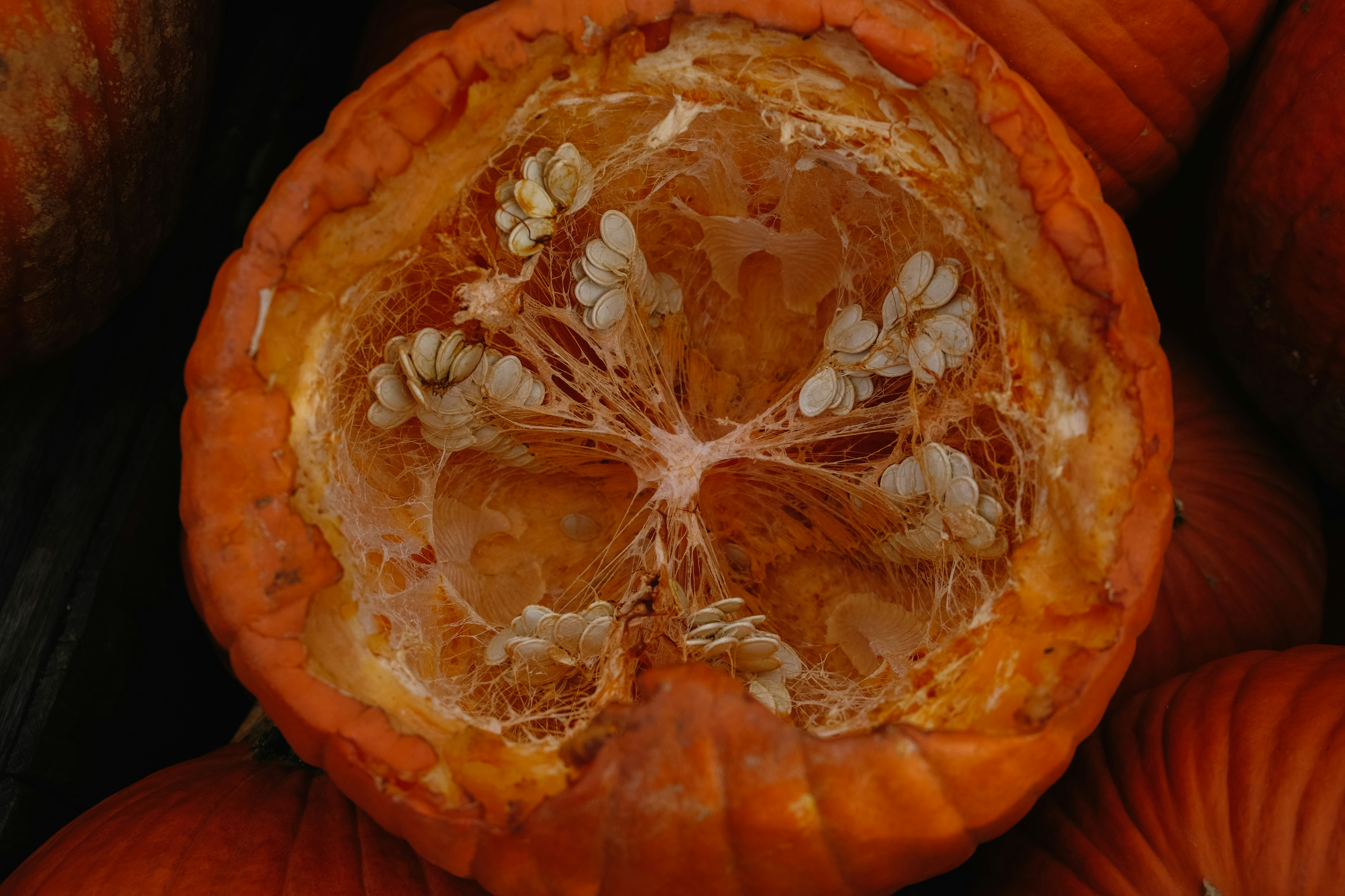 Seed Lace at the Heart: A Close-Up of Pumpkin Cross-Section