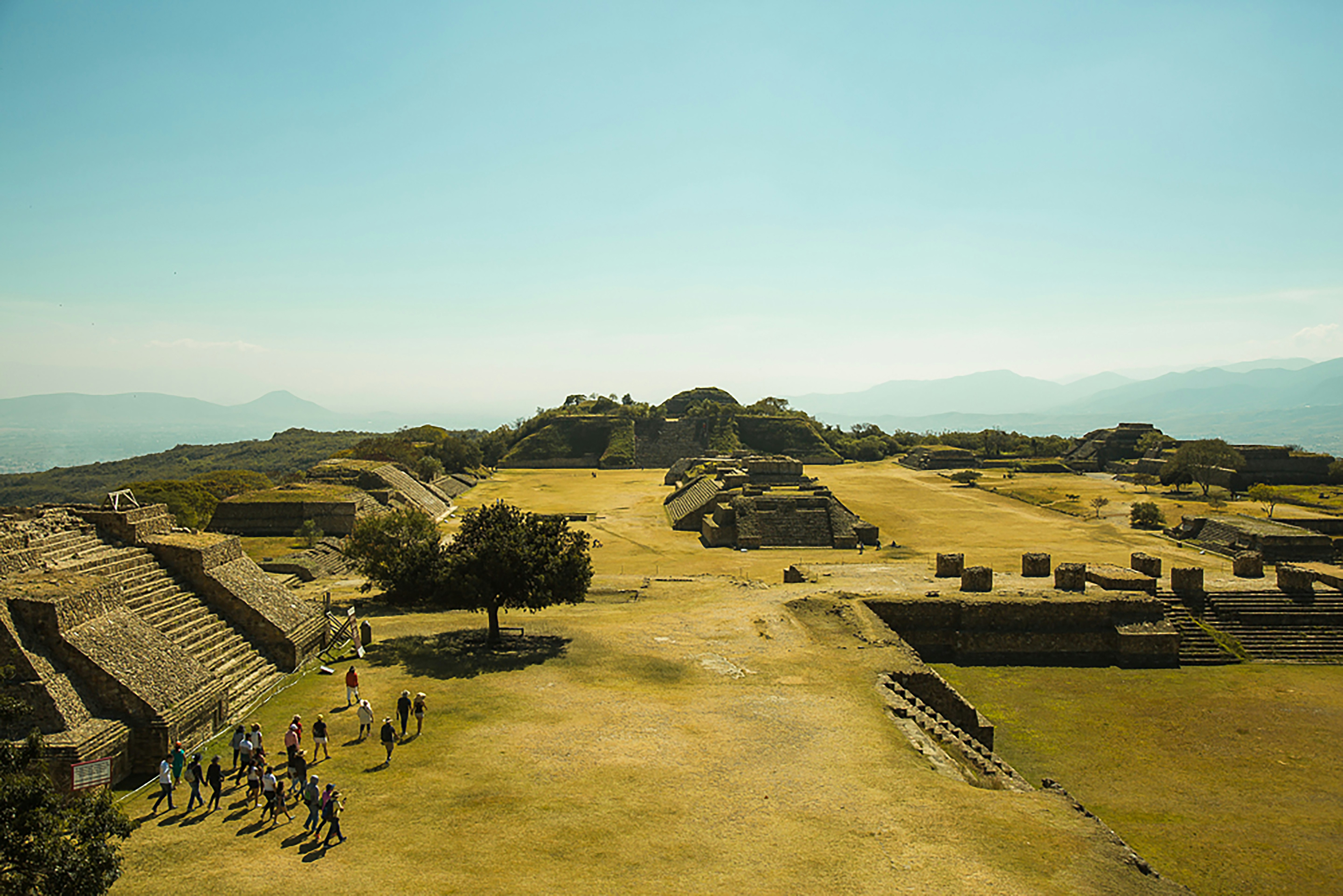 Expansive view of the Monte Albán archaeological site under a clear sky.