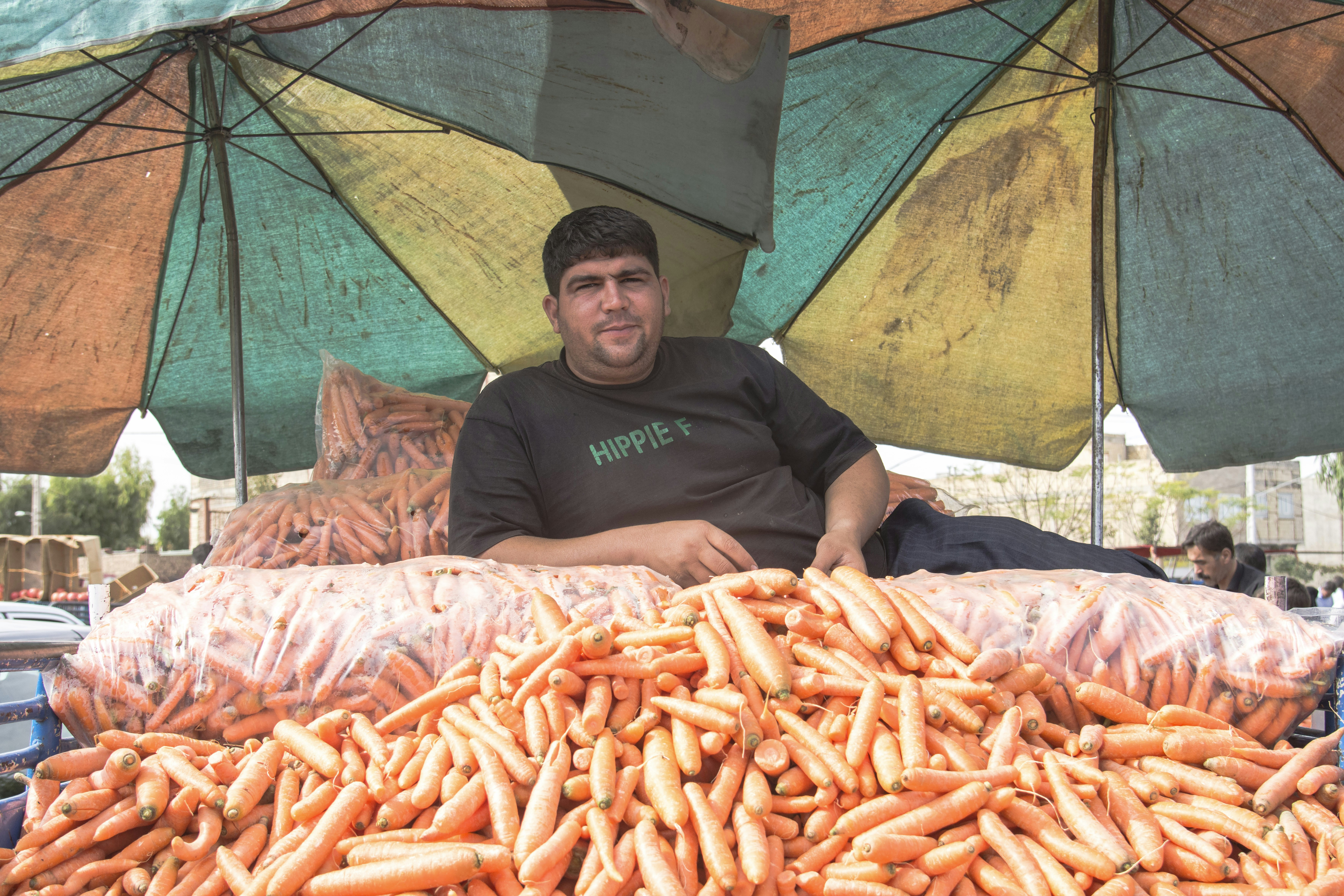 Vendor lounging amidst a vibrant display of fresh carrots under a colorful canopy.