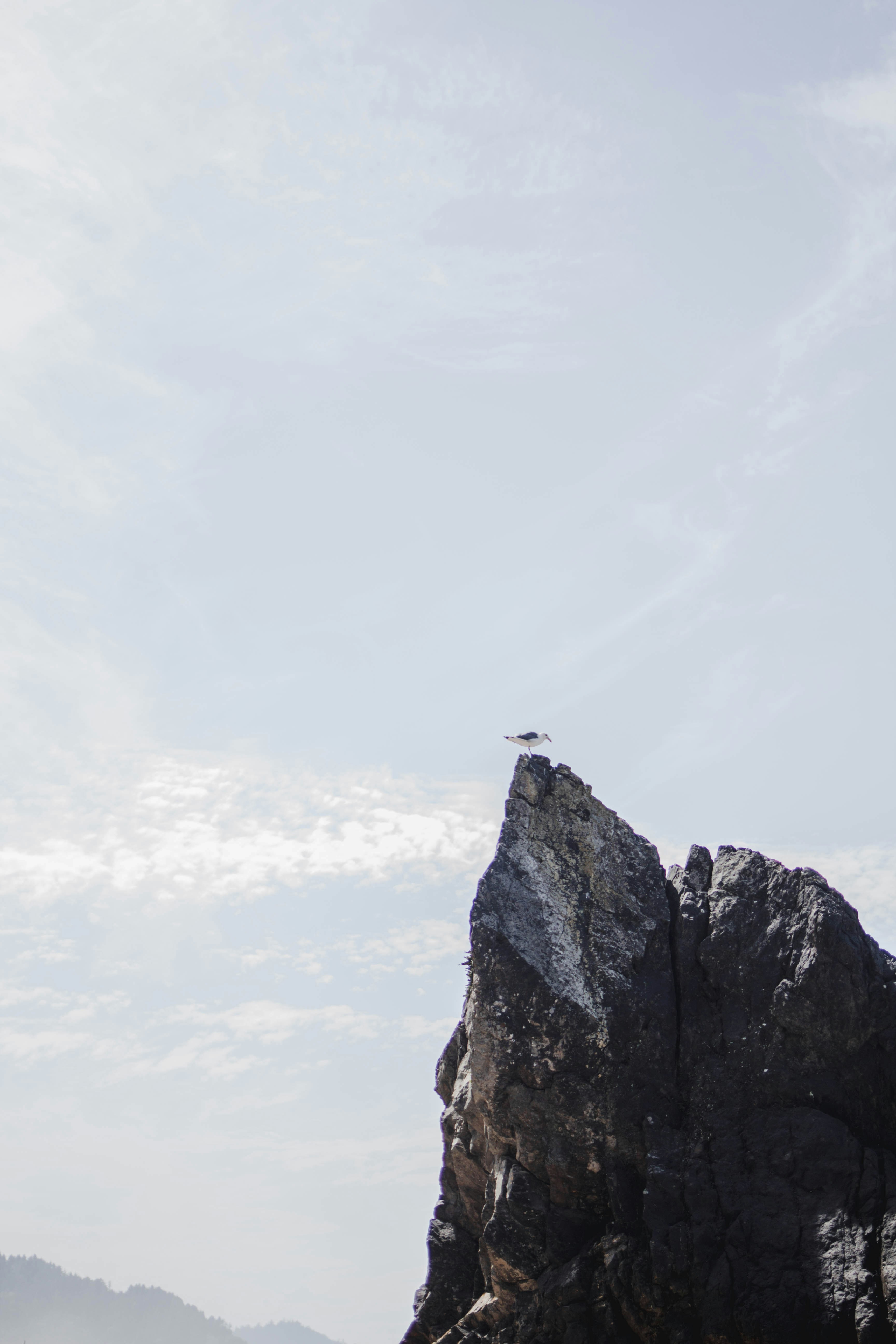 A solitary bird perched atop a rugged rock formation against a serene sky, embodying the essence of nature's resilience.