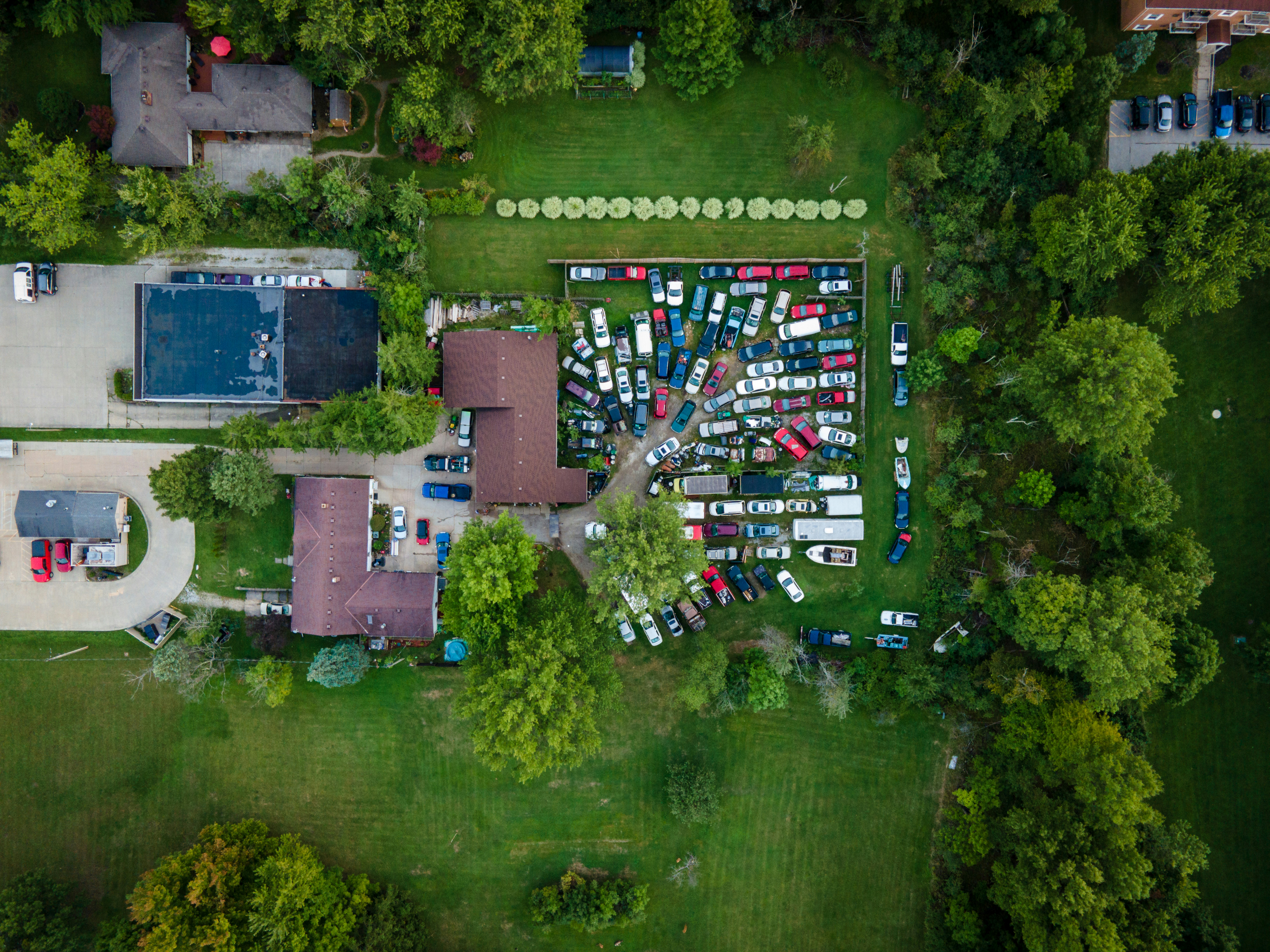 Car Meadow Beneath the Green Canopy: An Aerial Suburban Assembly