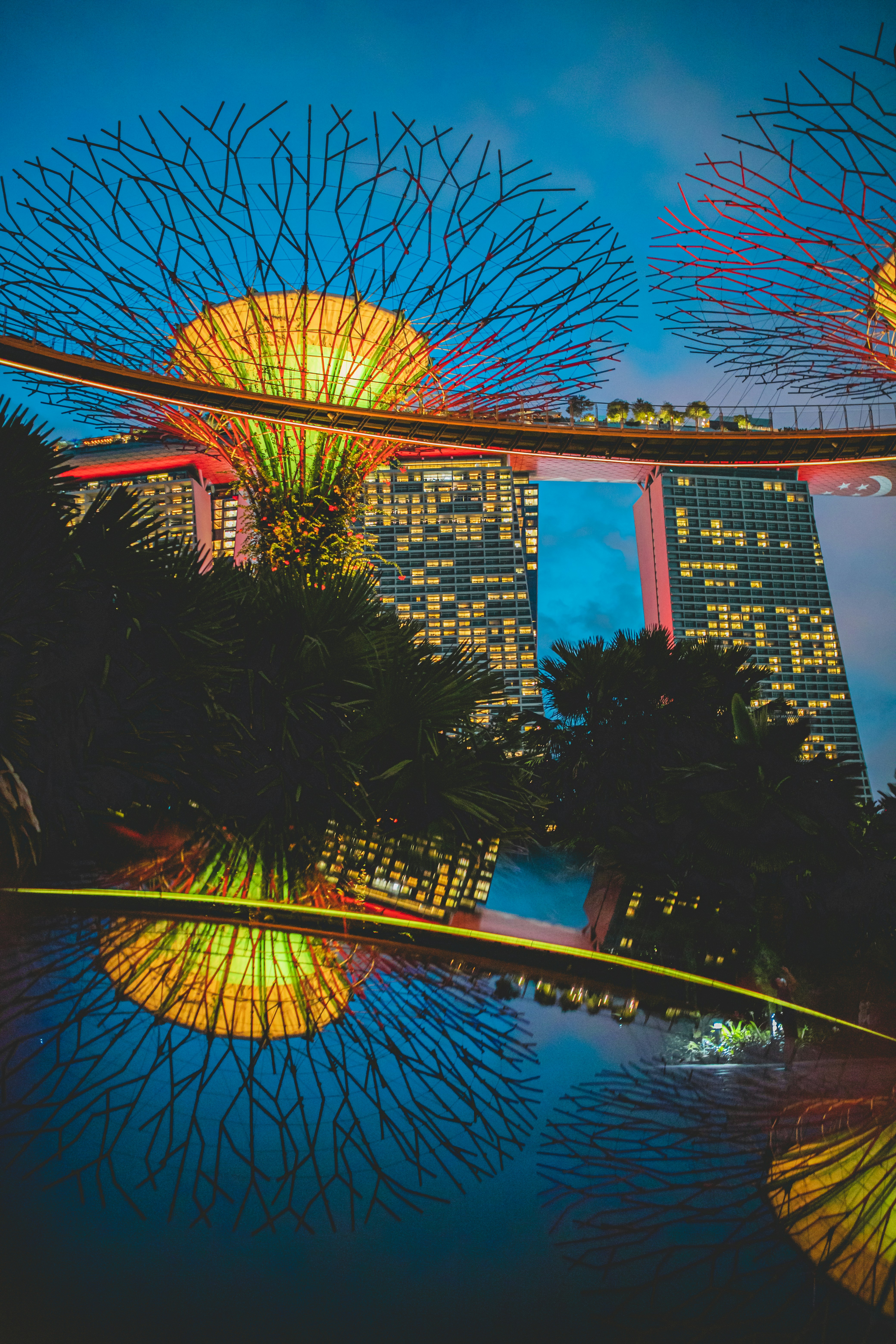 Symmetry in Neon: Reflections beneath the Supertree Glow