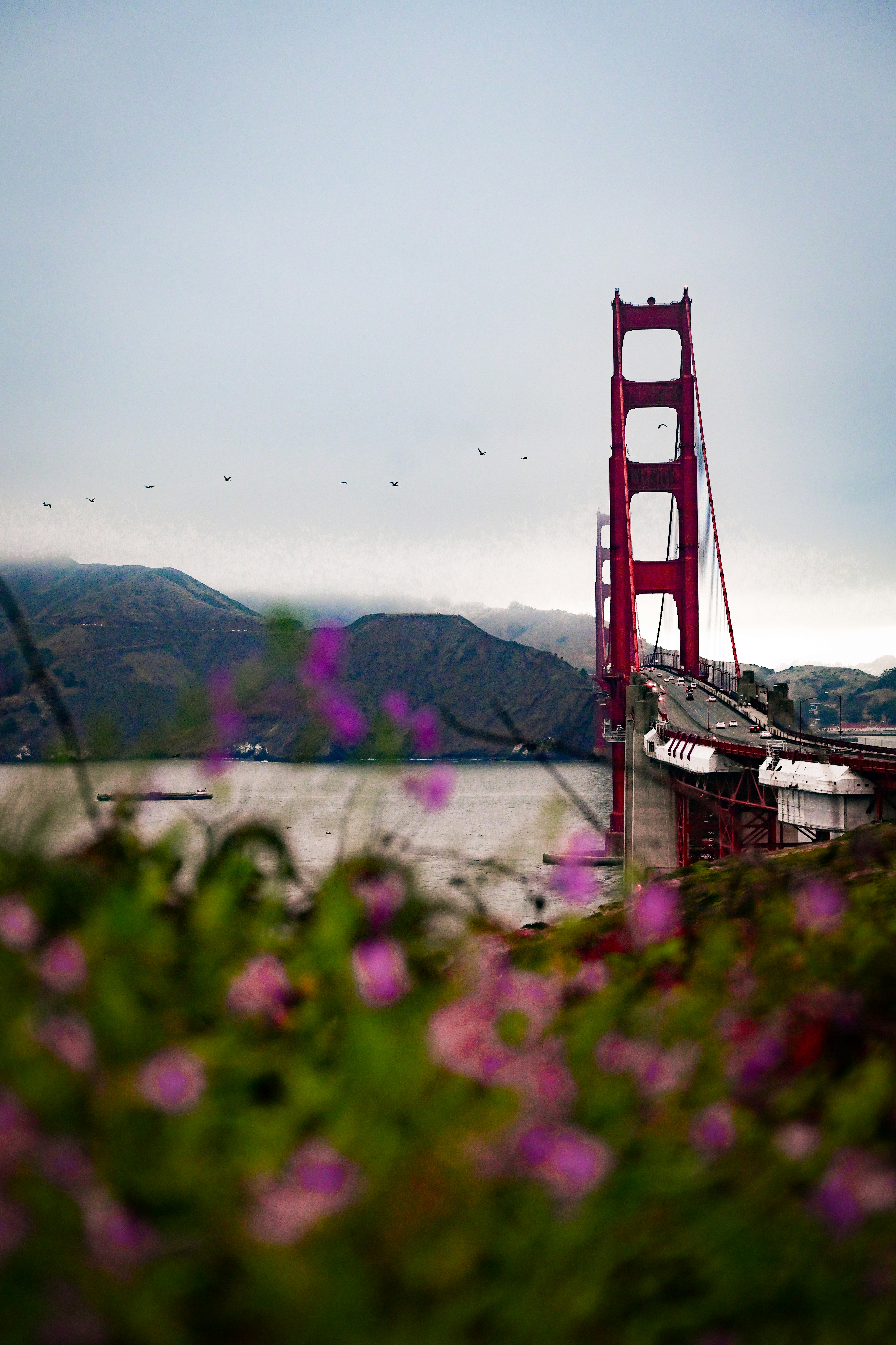 brown wooden bridge over river