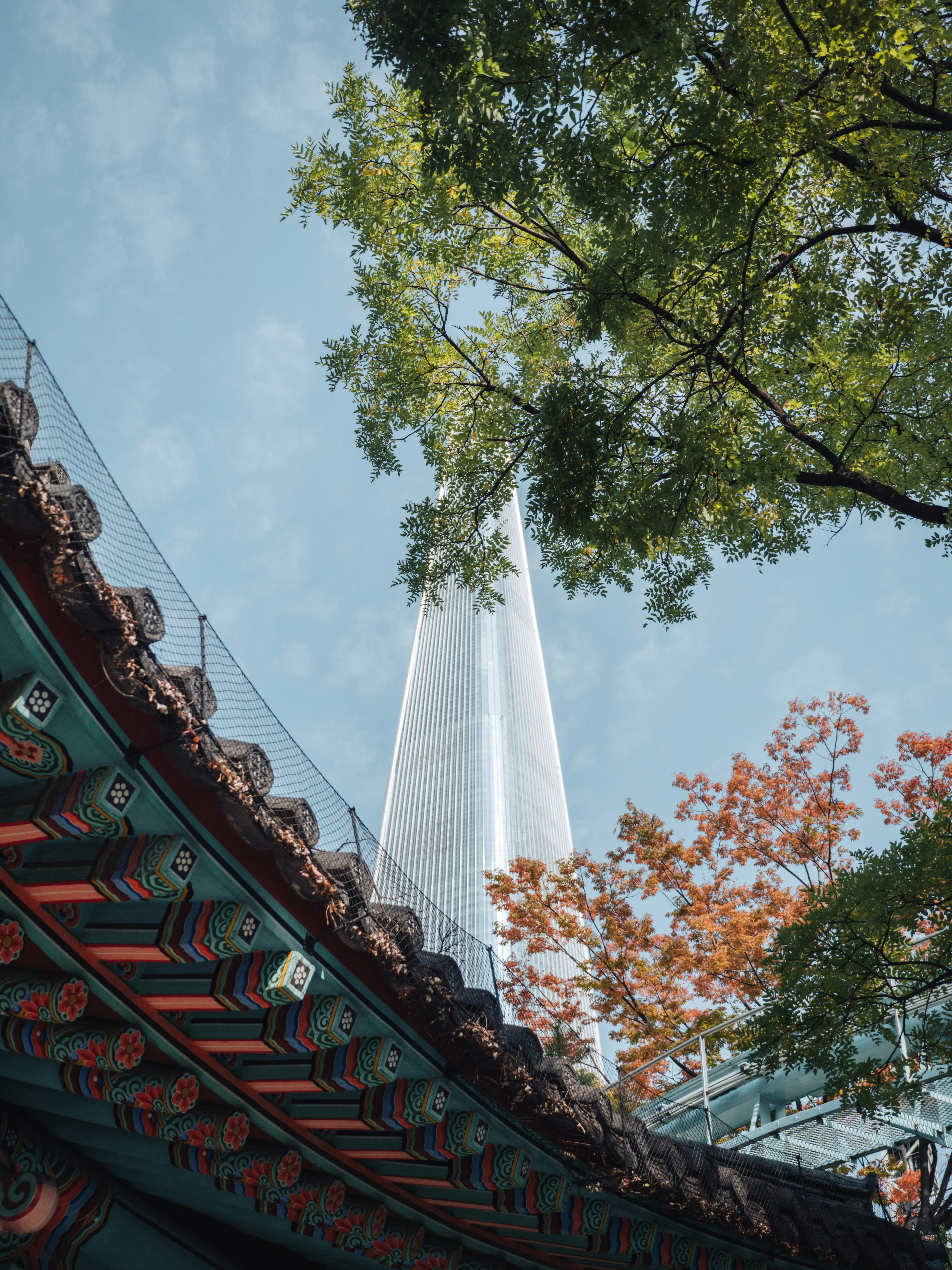 A towering skyscraper rises above a traditional architectural structure, framed by vibrant foliage. The juxtaposition highlights the blend of old and new in urban landscapes.