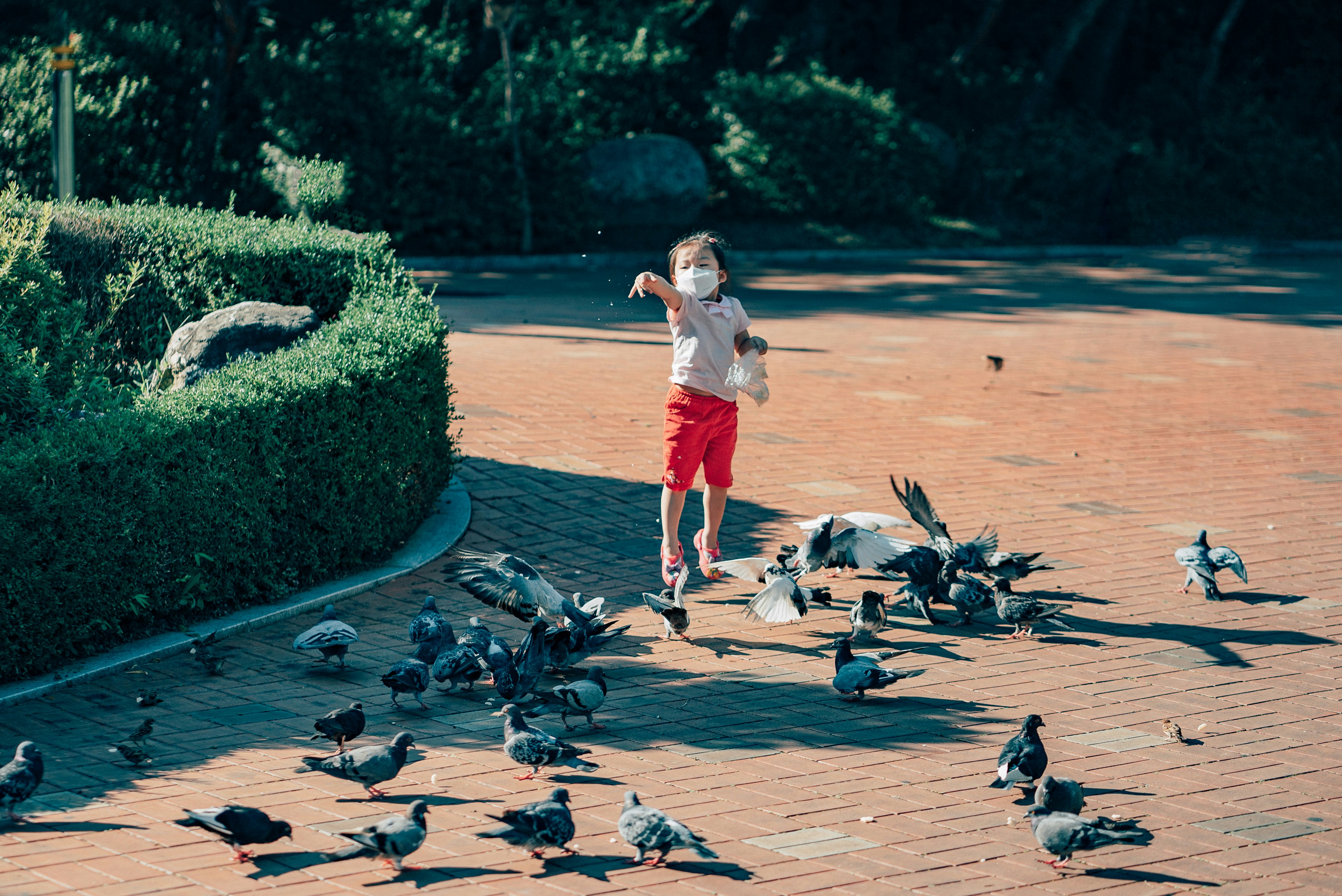 Child in a sunlit plaza feeding pigeons