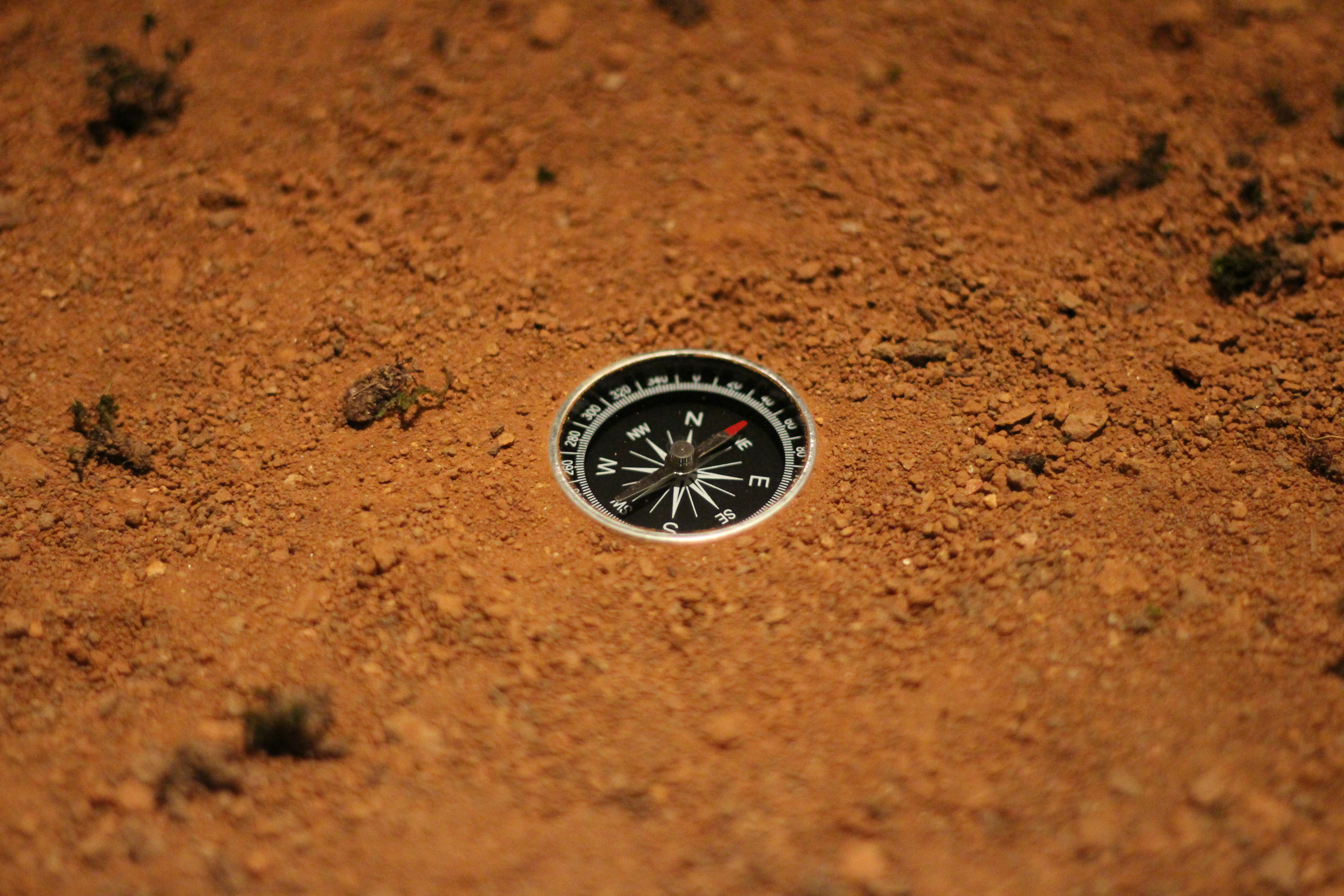Compass embedded in sandy terrain, surrounded by sparse vegetation. A symbol of direction amidst desolation.