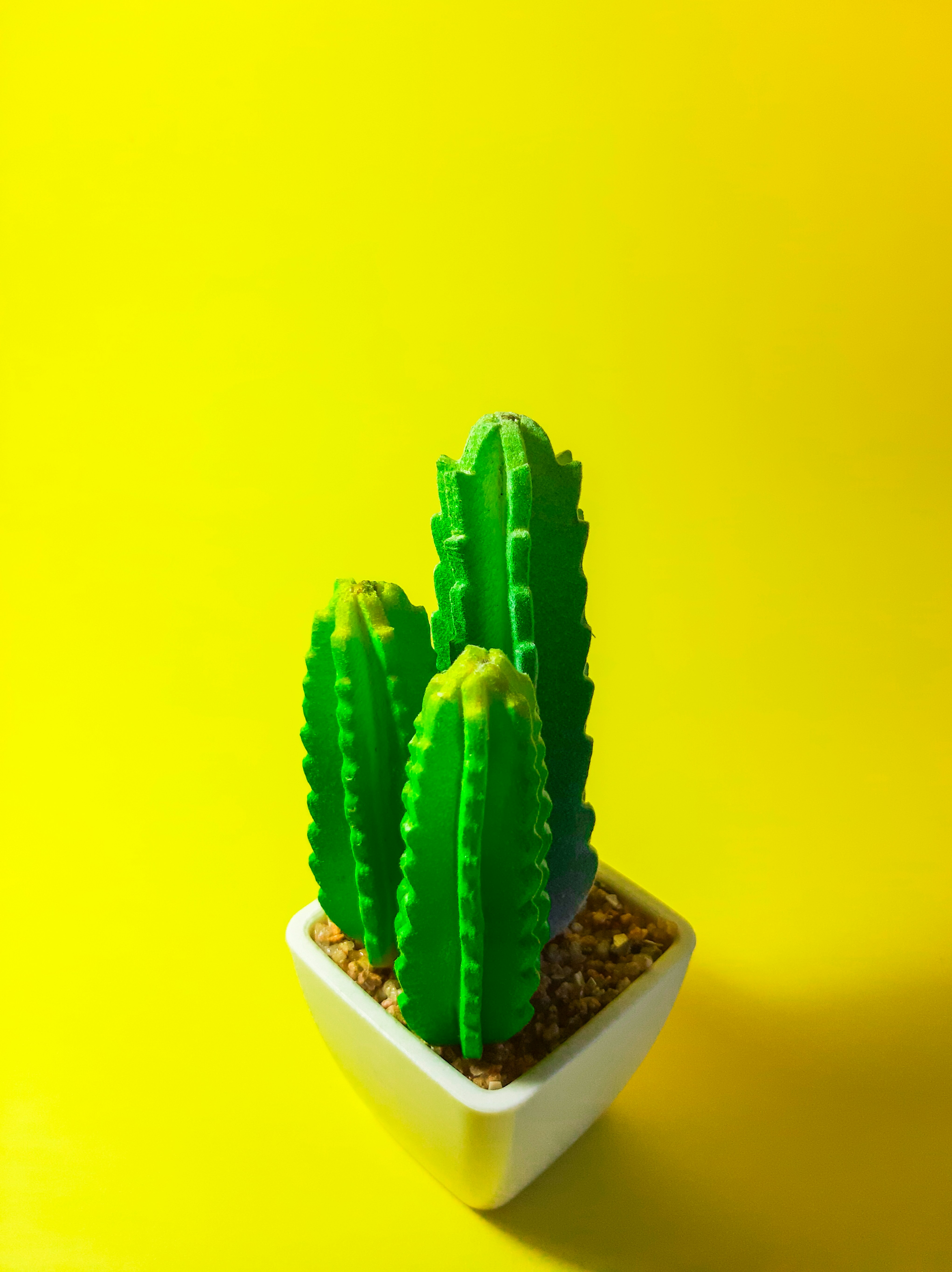 Three vibrant green cacti in a white pot, set against a bright yellow background.