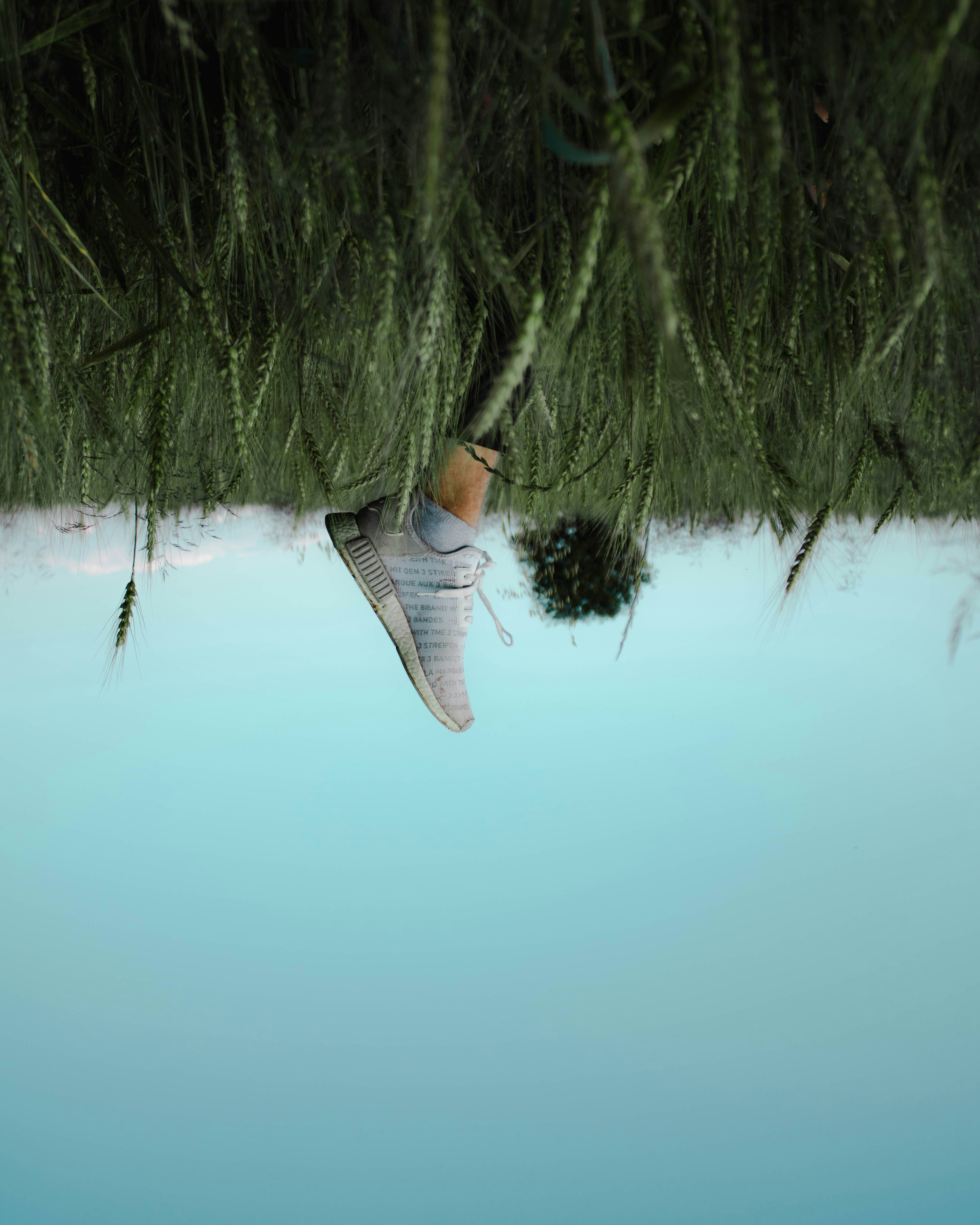 Sole Hover: A Sneaker Suspended Over a Quiet Meadow