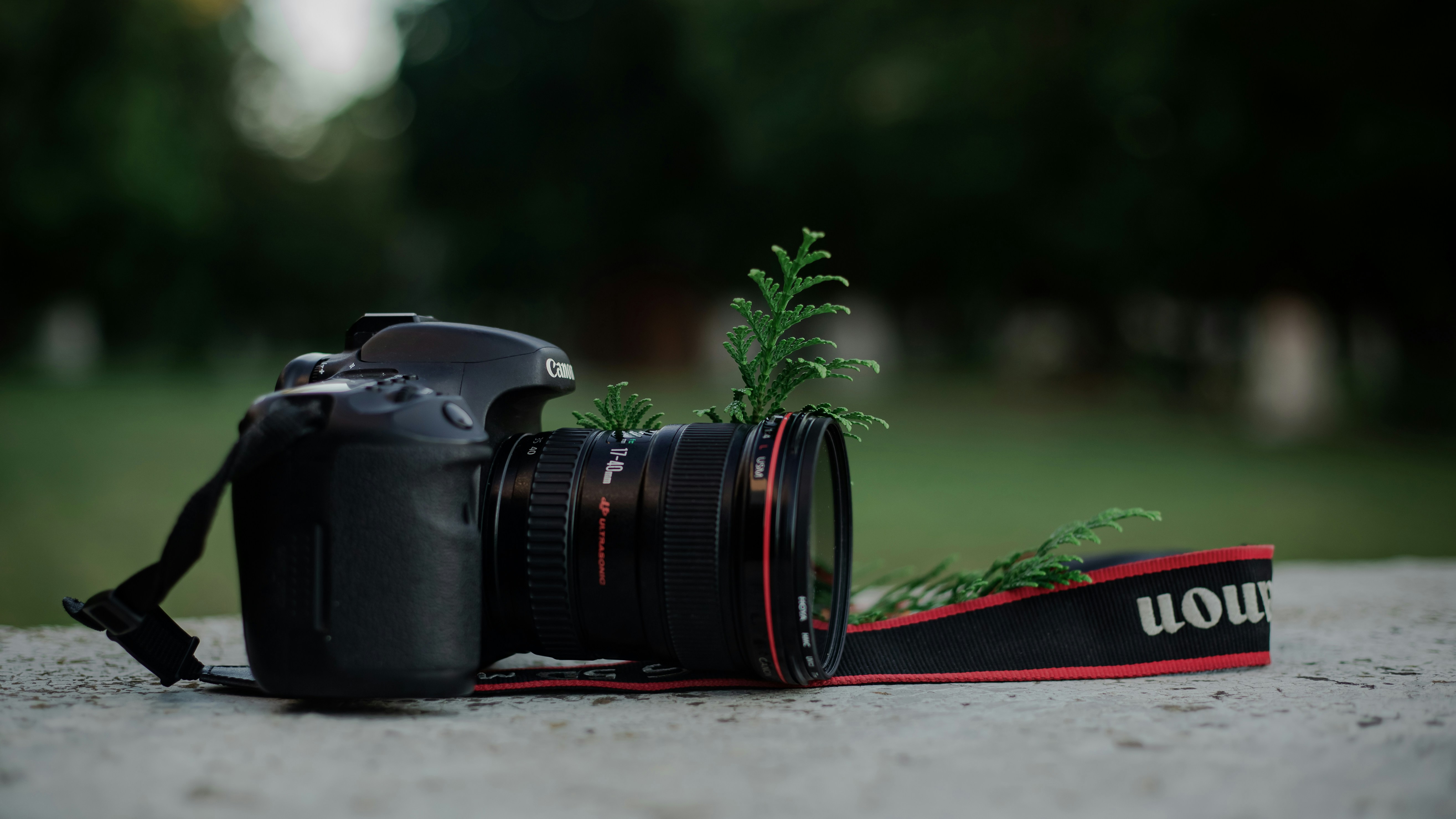 1000+ Dslr Camera Pictures | Download Free Images on Unsplash
