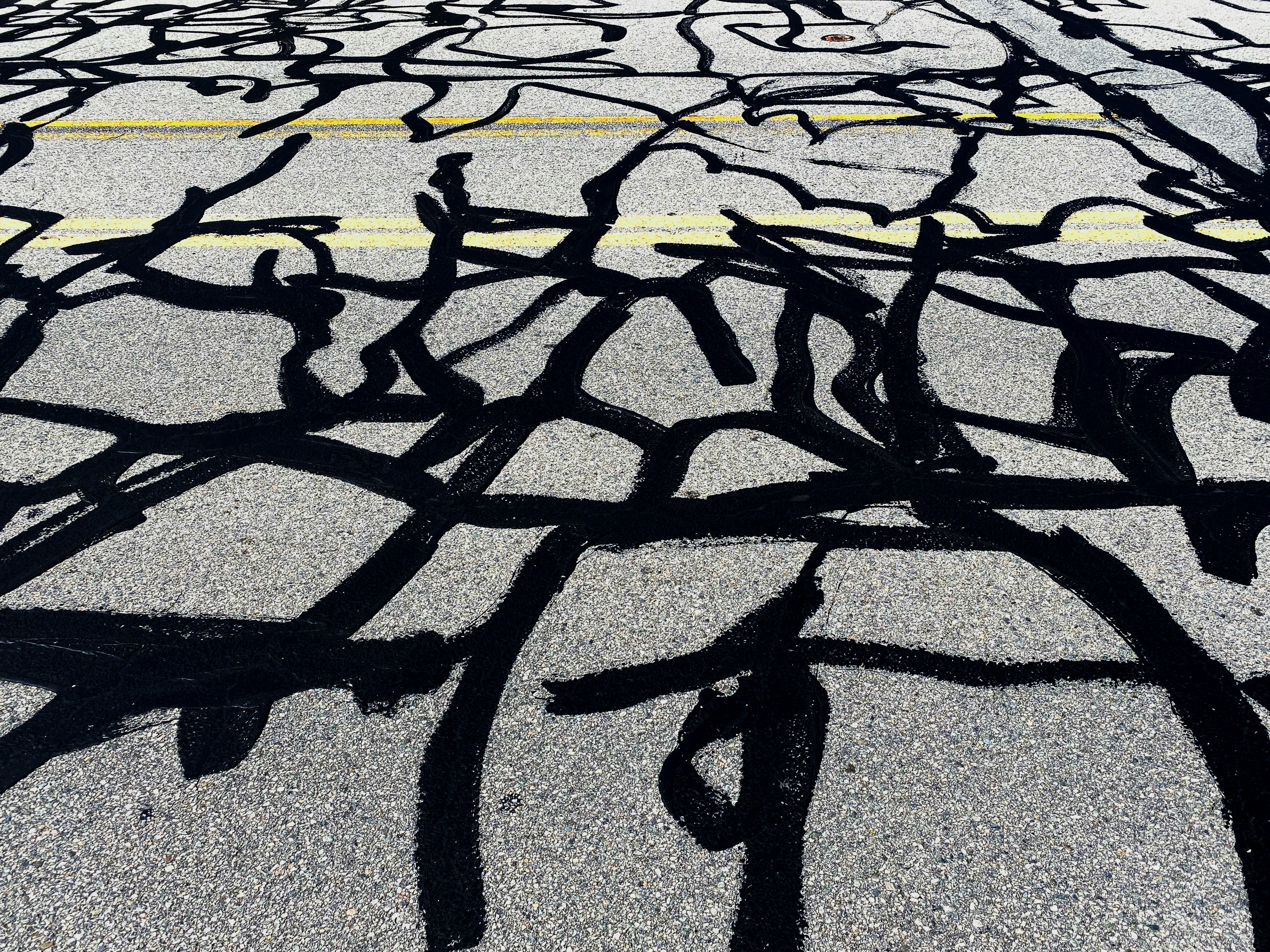 Black Lines Pictures | Download Free Images on Unsplash