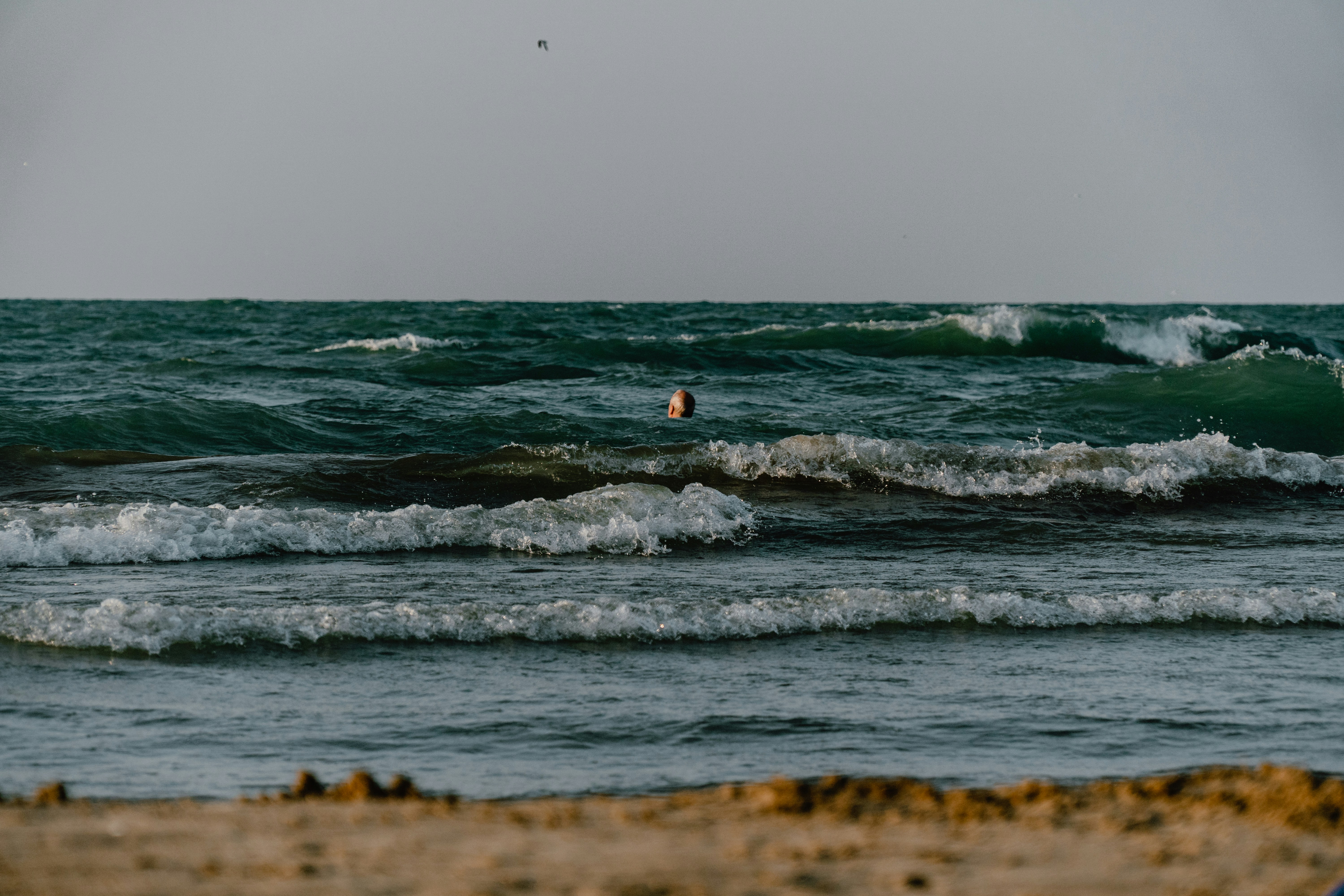 Center-stage swimmer braves rhythmic breakers along a sunlit shore