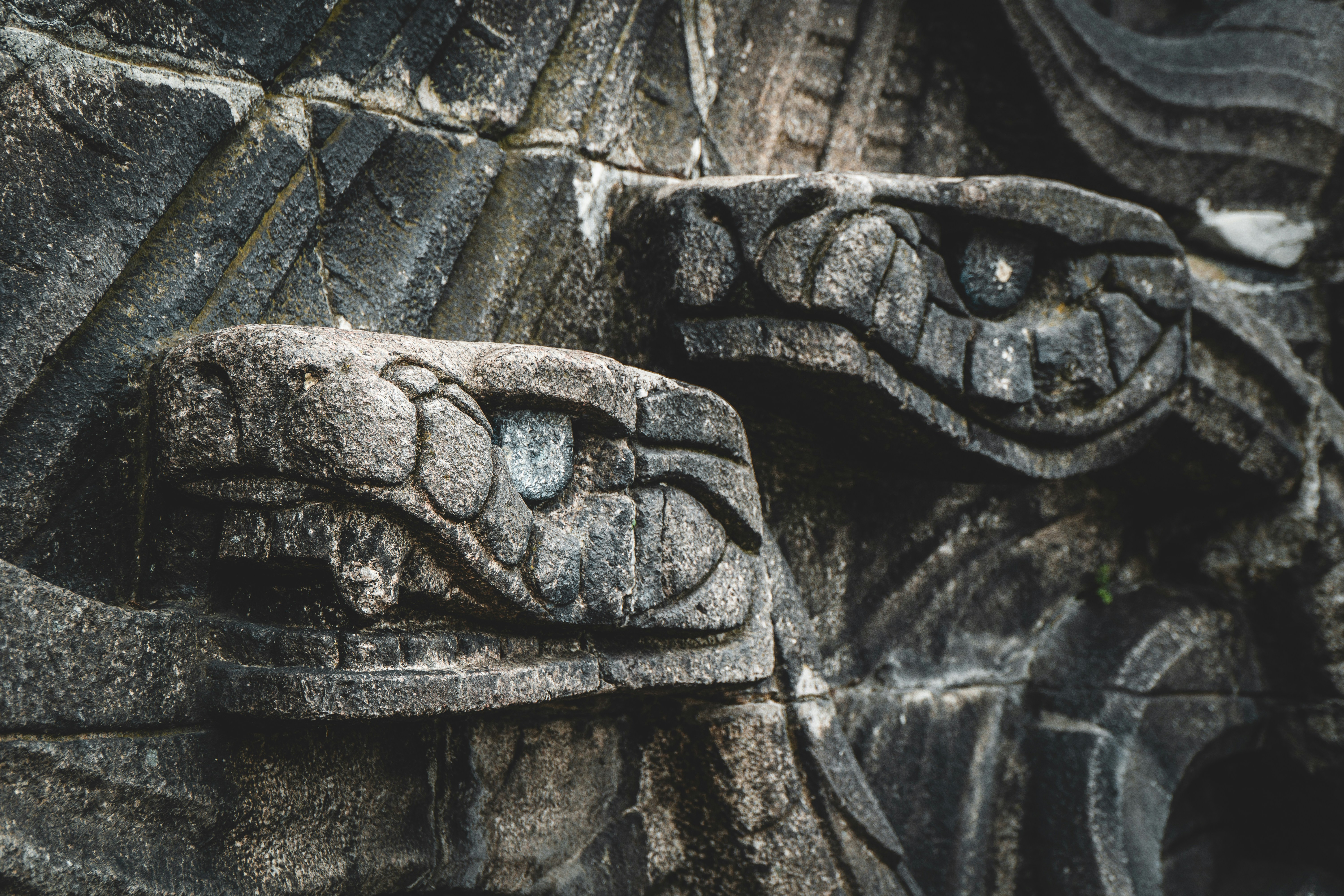 Detailed carving of two serpent heads with intricate patterns on weathered stone.