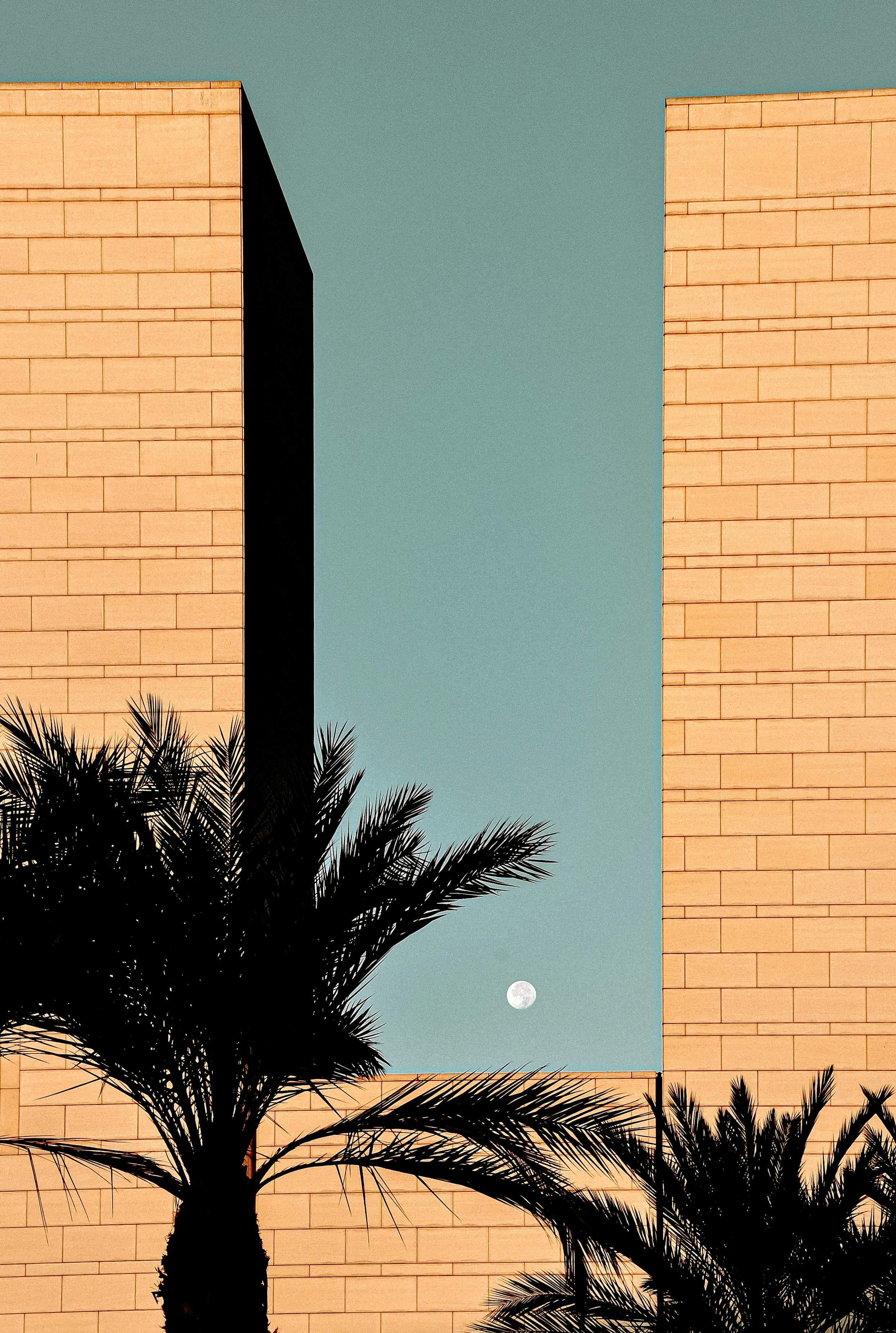 Moon between two terracotta towers over a palm-lined courtyard