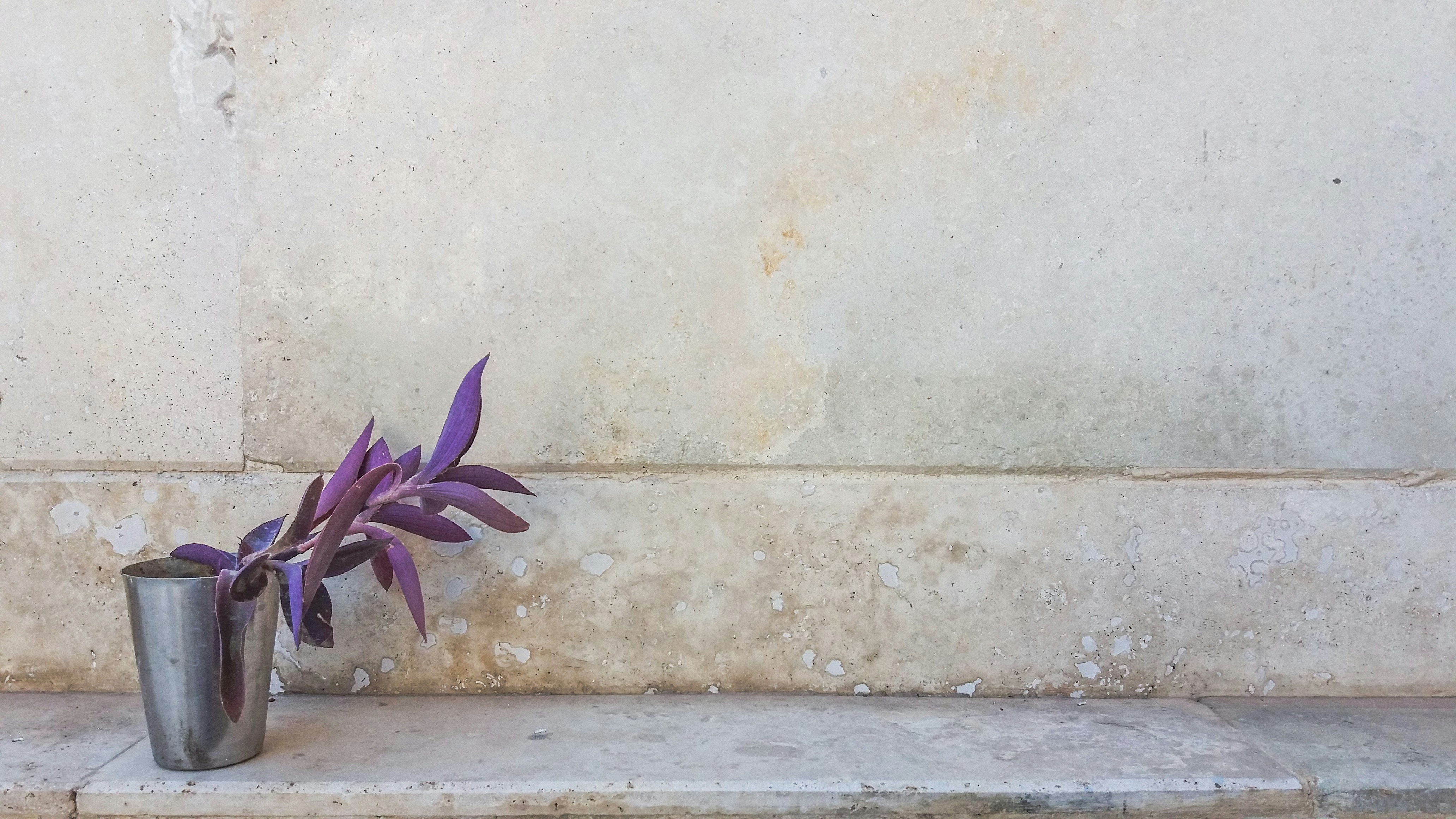 Purple heart plant sprigs extend from a metal mug on a light stone ledge against a textured masonry wall.