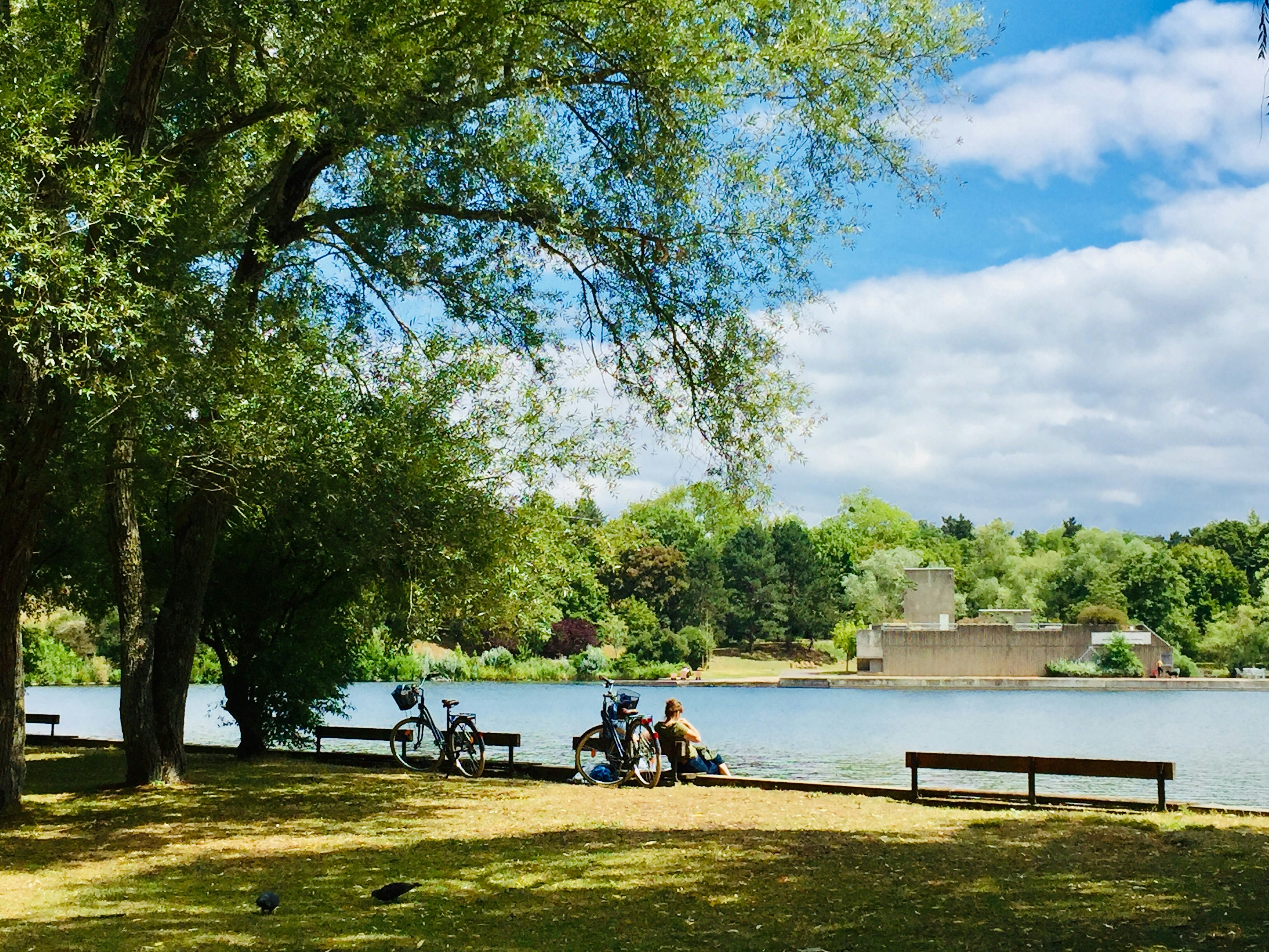 Tranquil Moments by the Lakeside