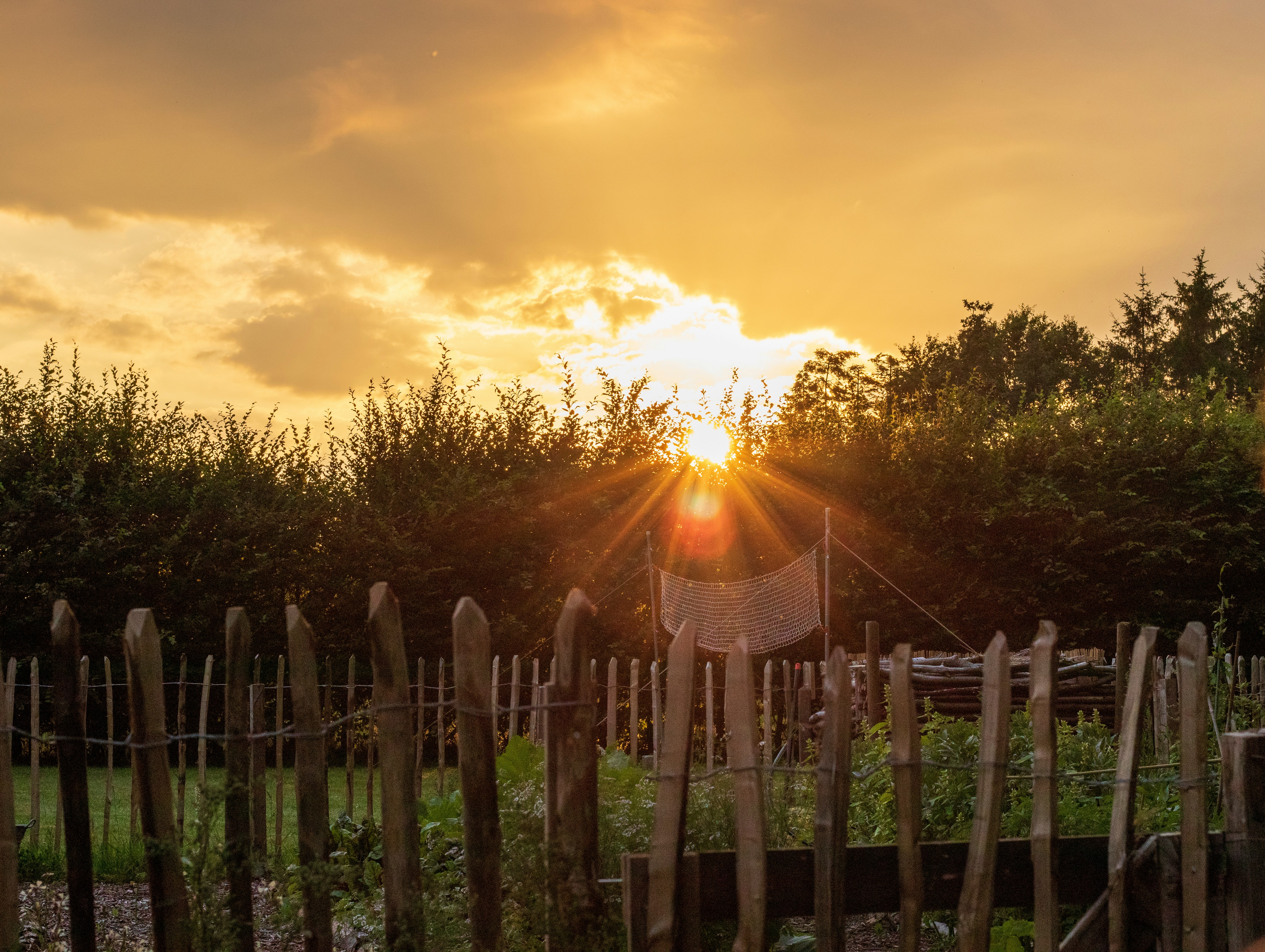 Sunburst Over a Weathered Fence: Quiet Garden at Dusk