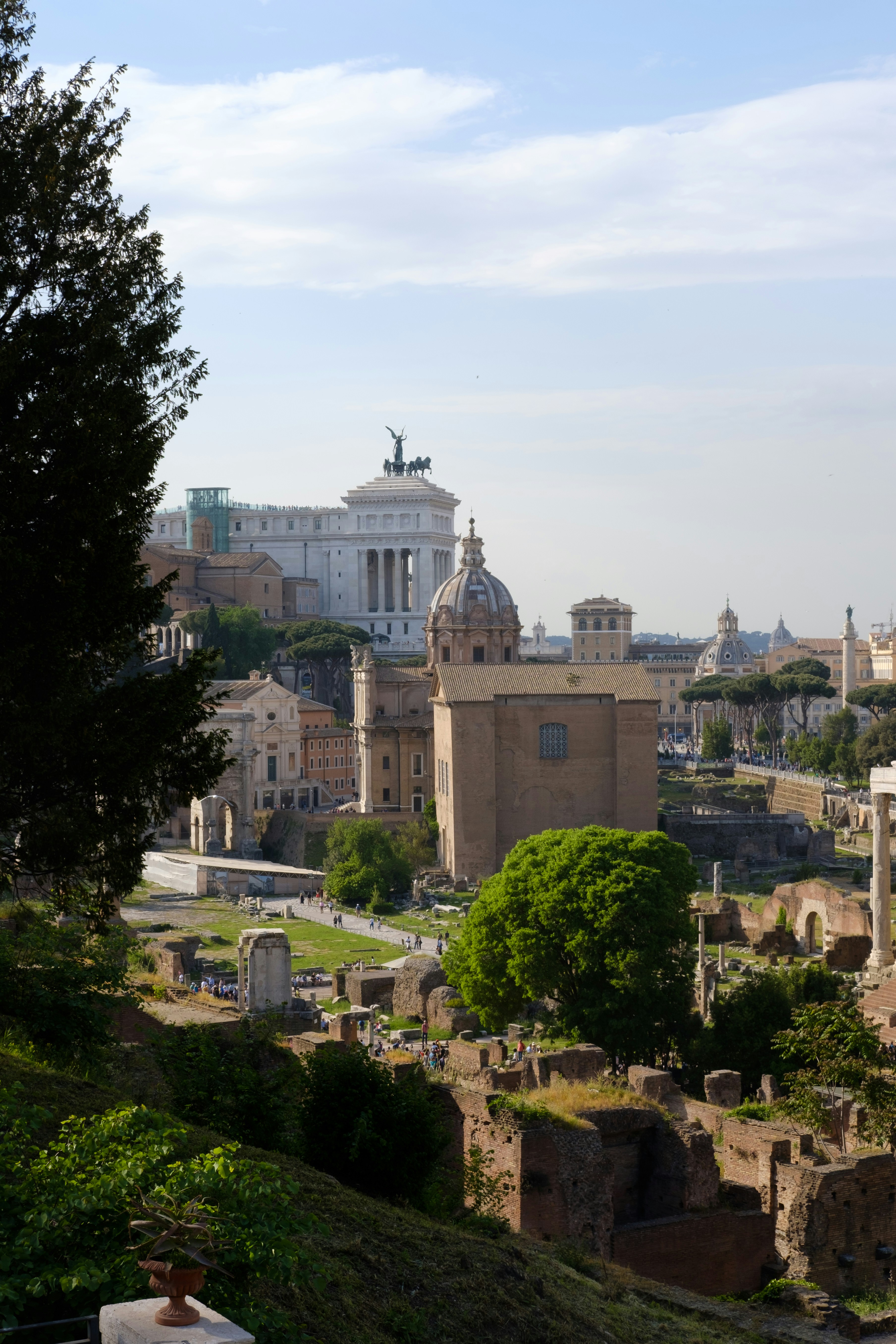 A panoramic view of Rome's historic architecture, showcasing the grandeur of ancient ruins alongside modern structures. Green foliage contrasts with the stone buildings, creating a harmonious blend of nature and history.