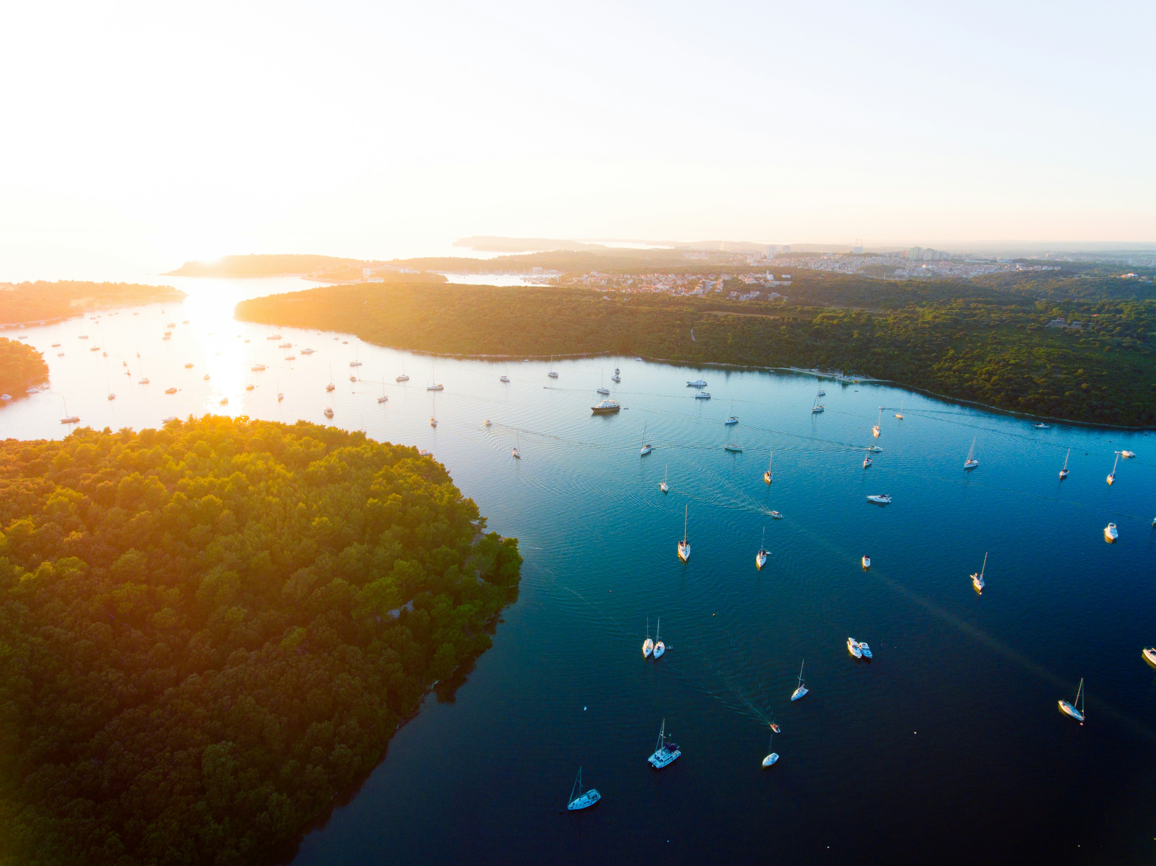 Early bird | aerial view of green island during daytime