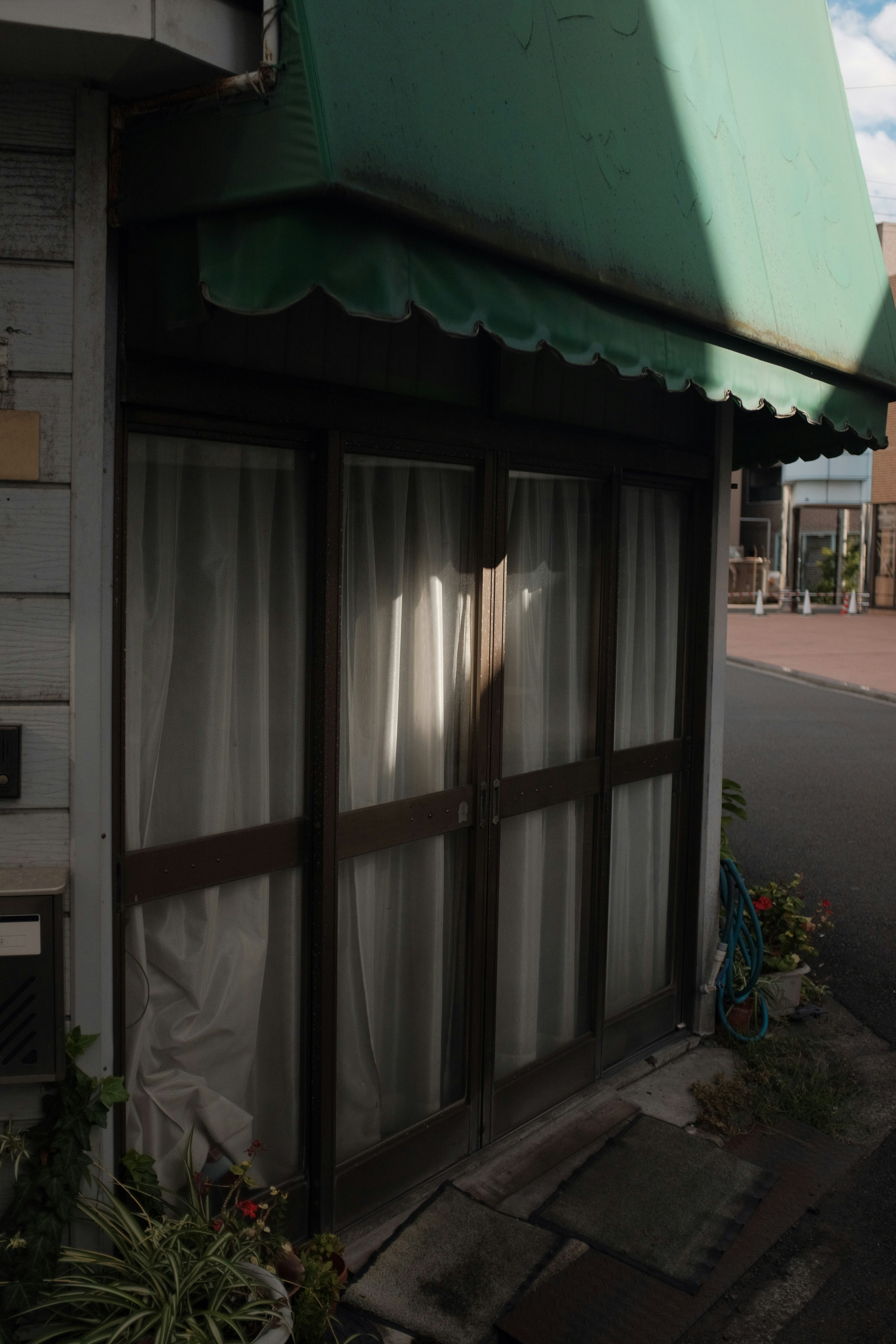 Green Canopy, Quiet Doorway: A Small Storefront in Soft Daylight