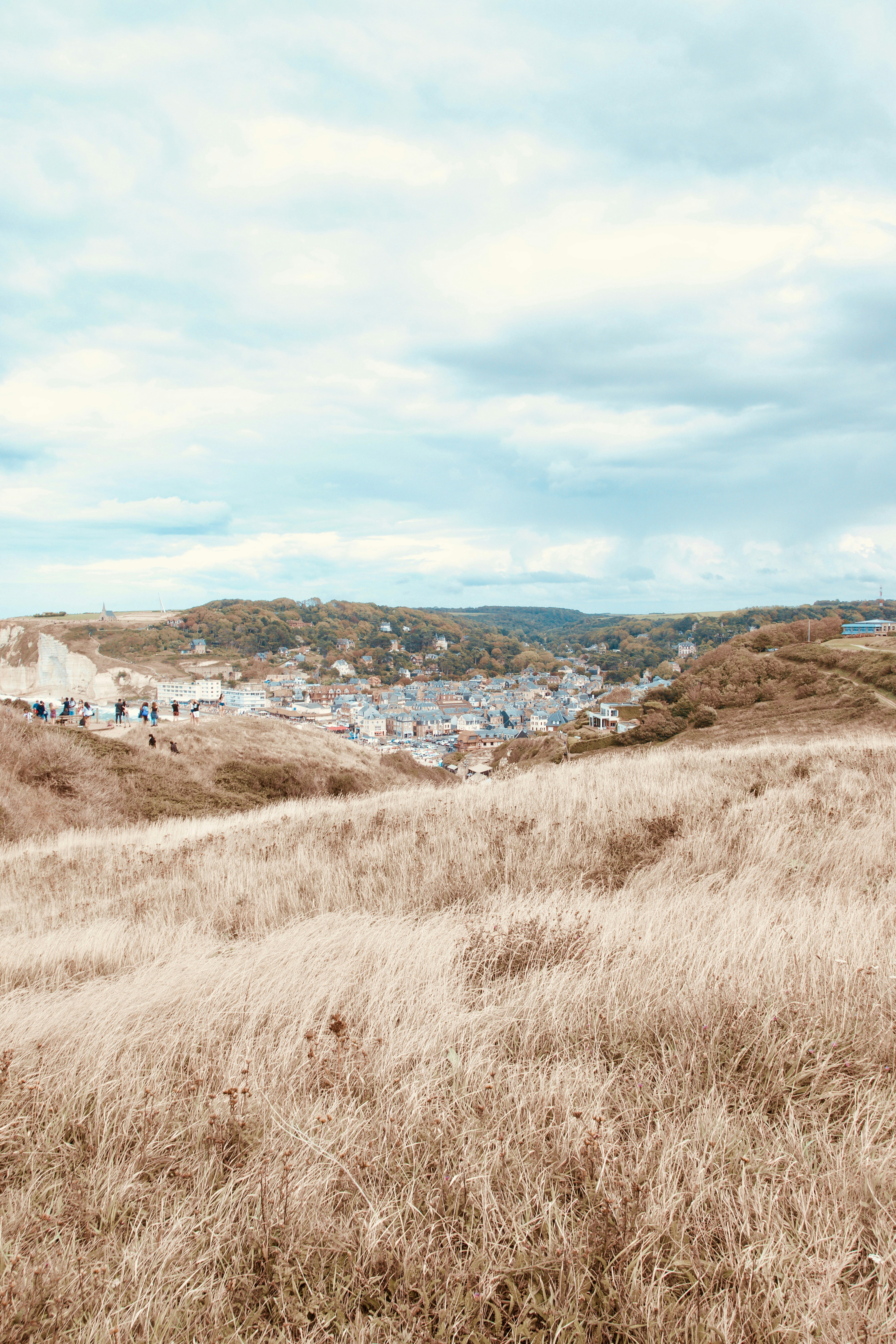 A panoramic view of a quaint town nestled among rolling hills, framed by tall grasses swaying in the breeze. The cloudy sky casts a soft light over the landscape.