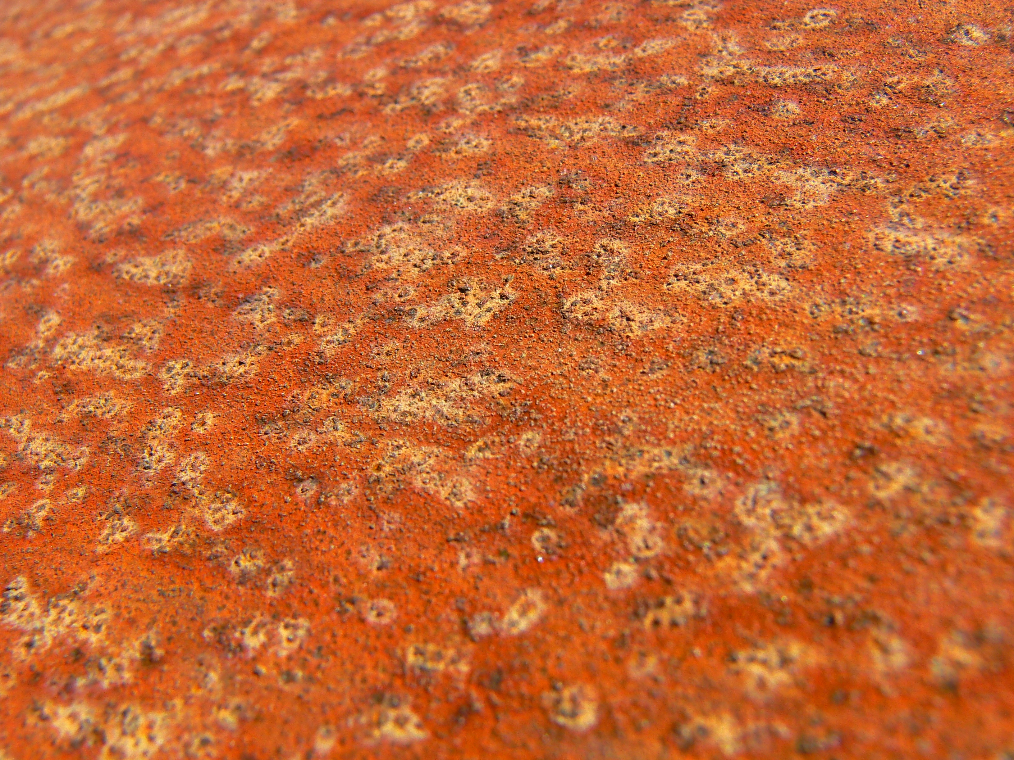 Sample photo from Panasonic Lumix FZ30