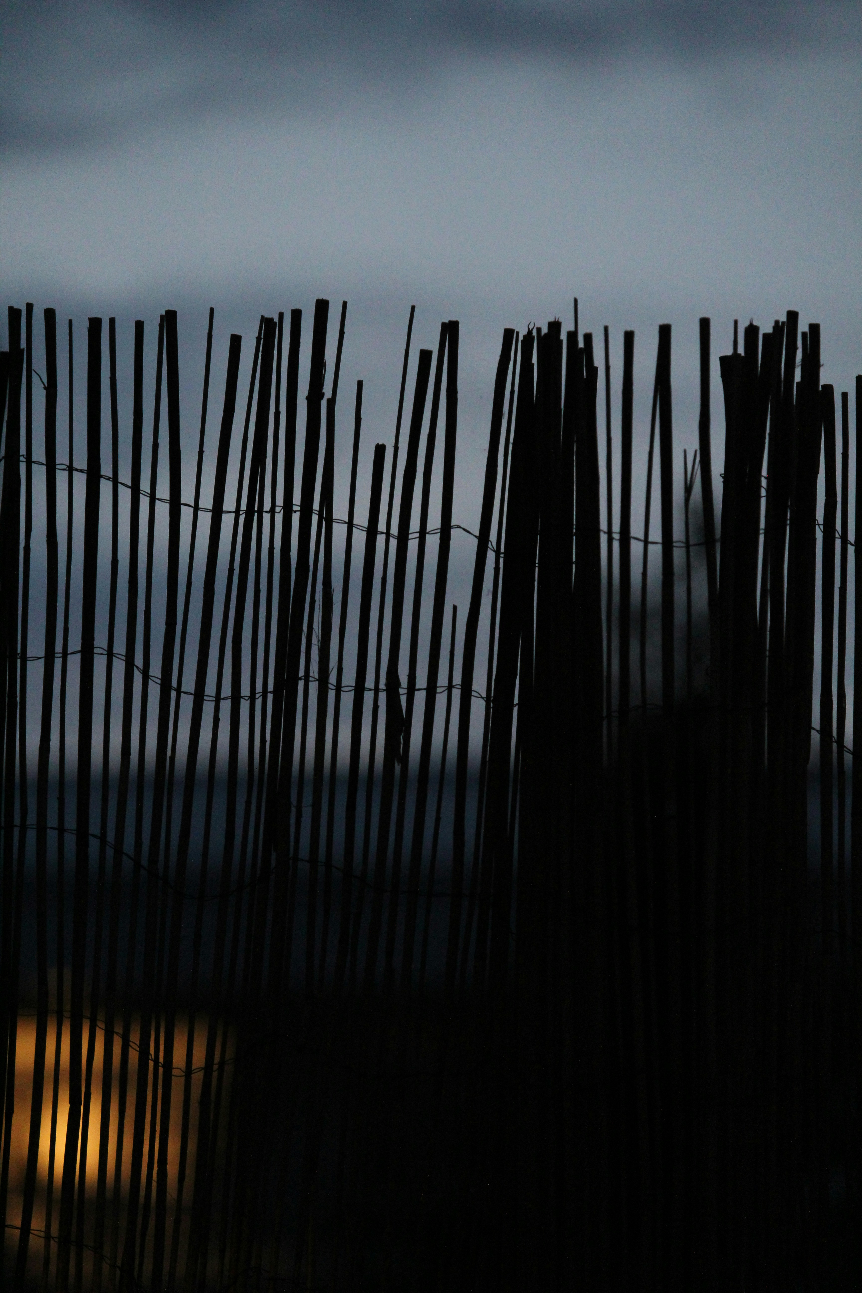 Dusk Fence Chorus: Vertical Silhouettes Under a Blue Evening Sky