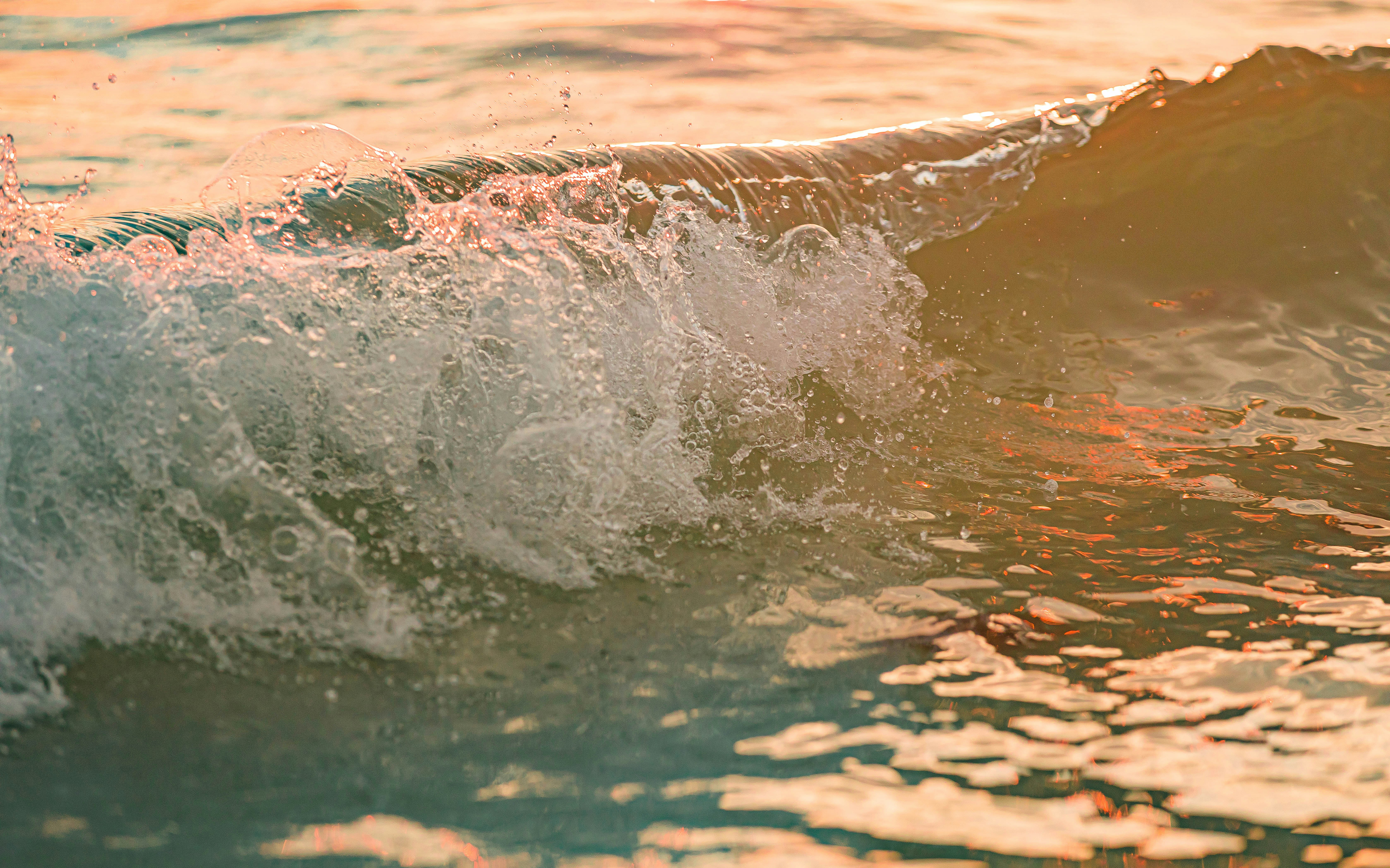 Orange Splash Pictures | Download Free Images on Unsplash