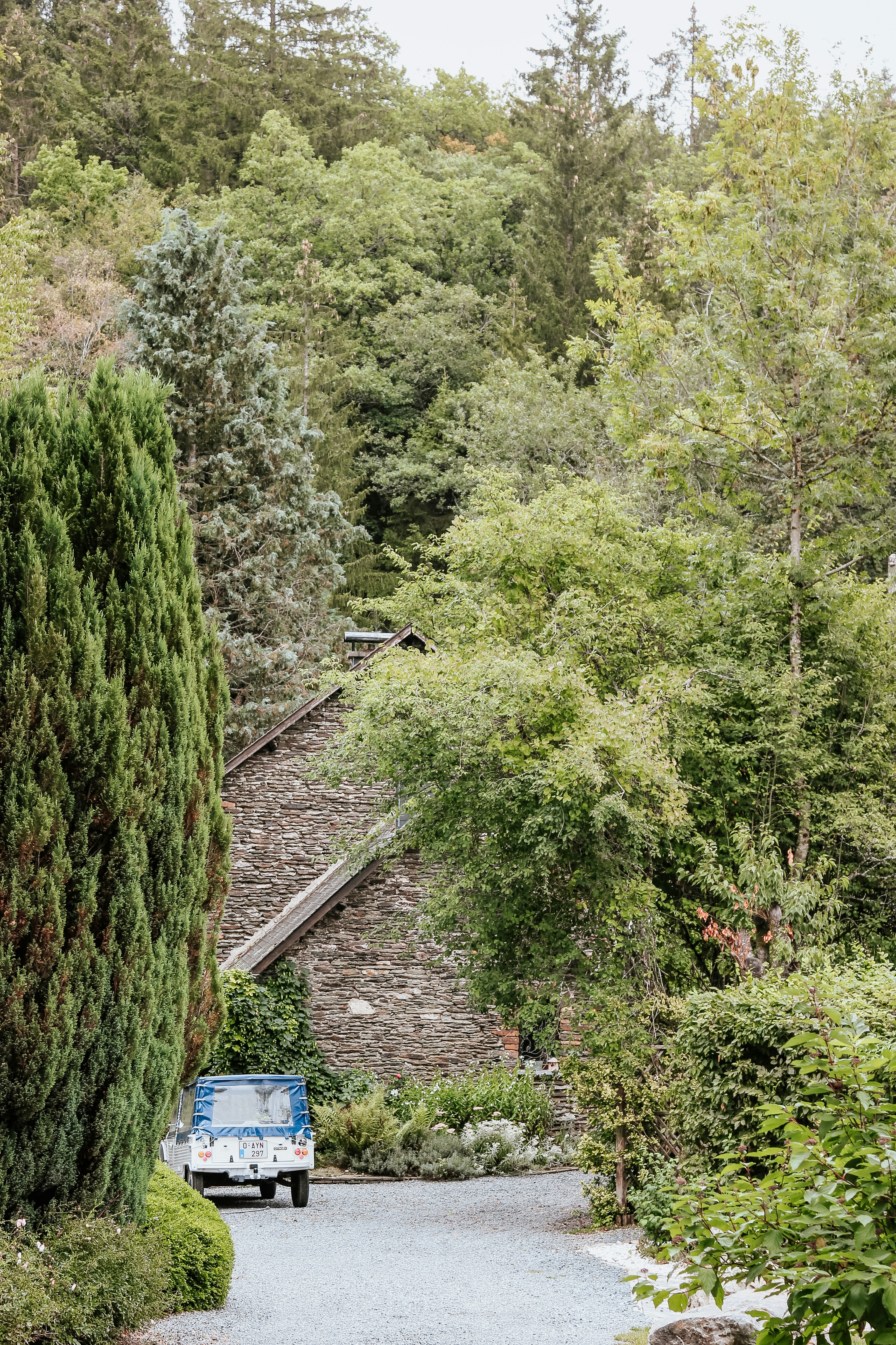 green trees beside blue house during daytime