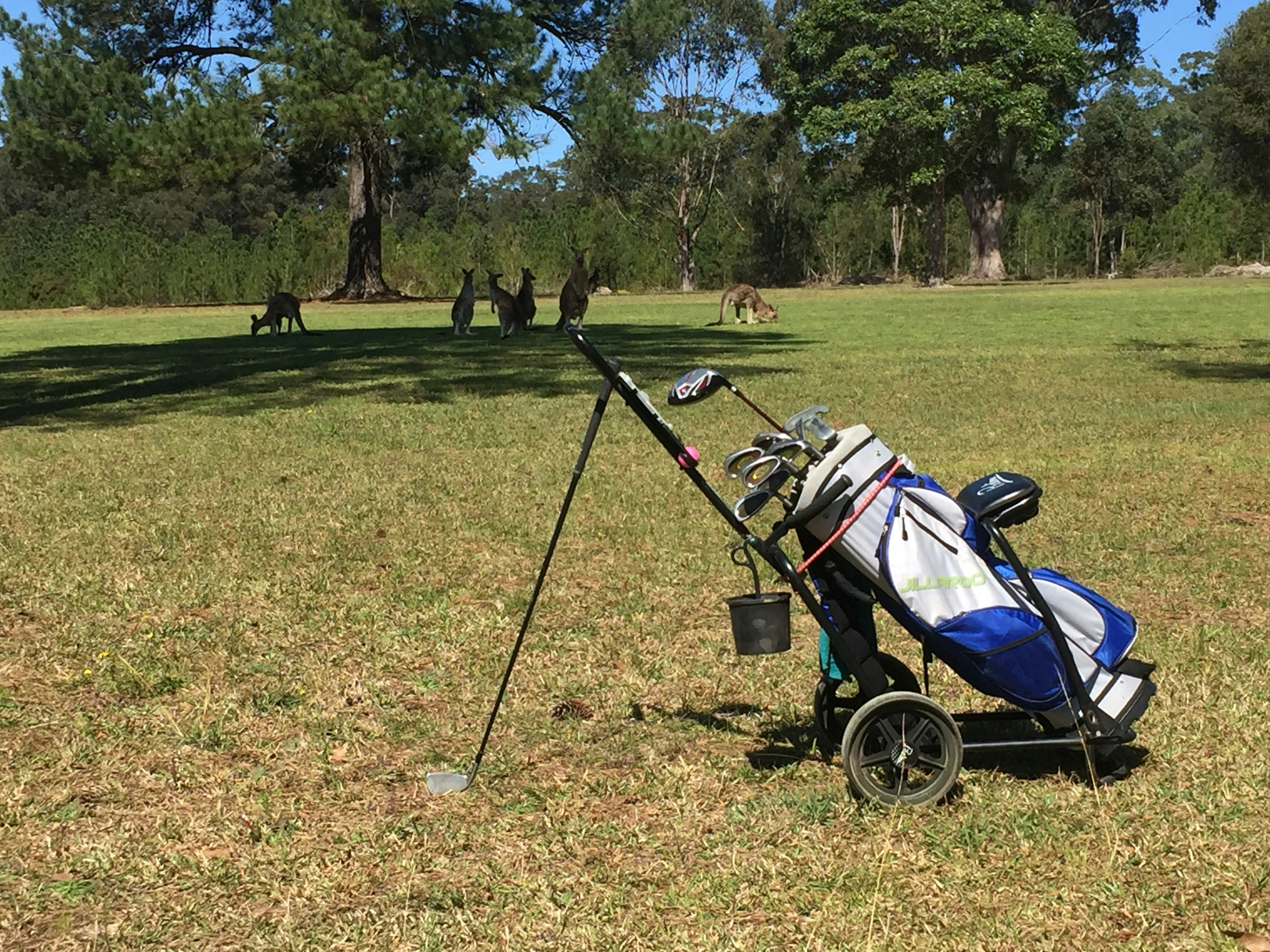 Parkside Putts: A Golf Push Cart Beside a Portable Practice Tee