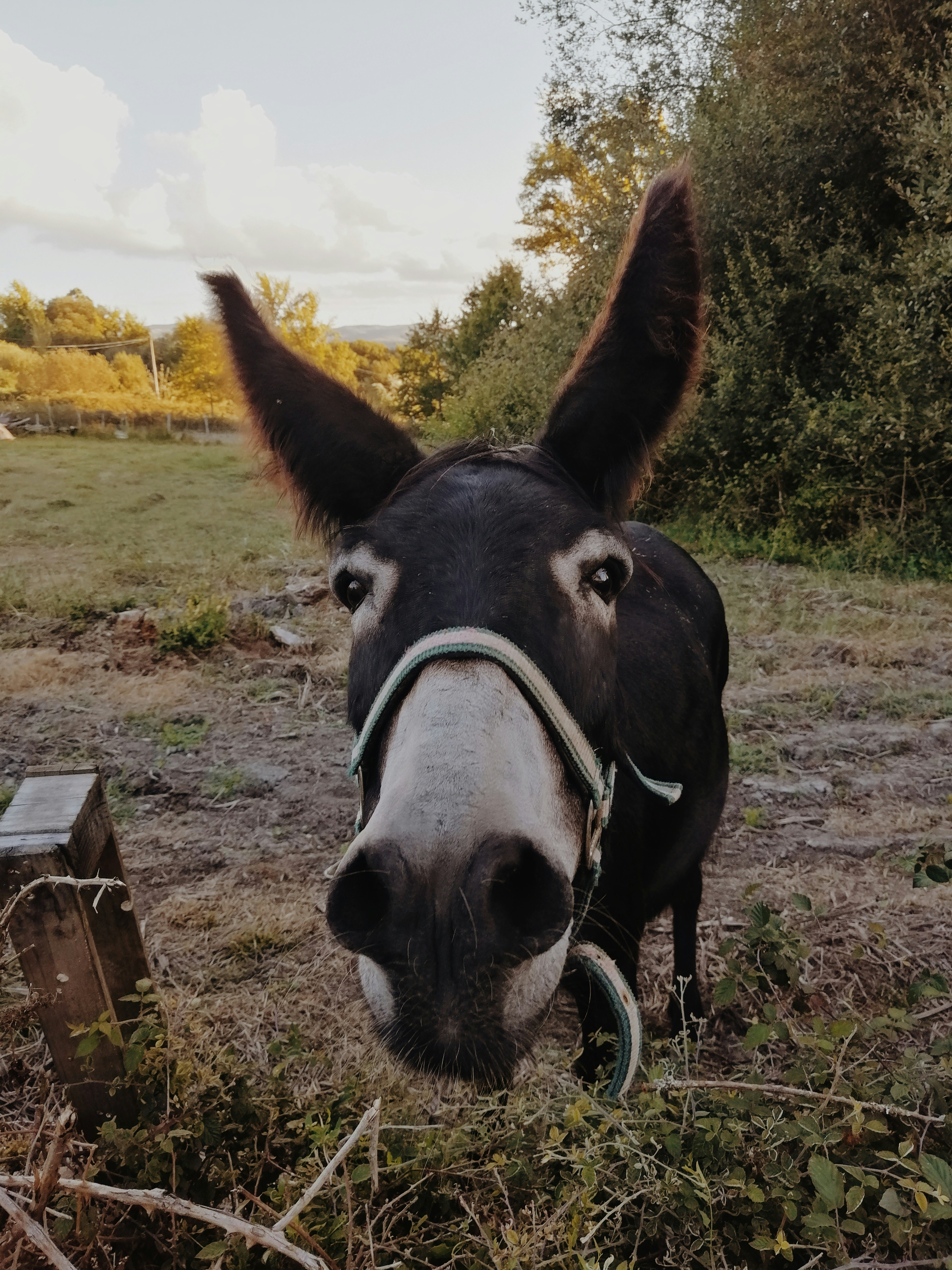 Photo by Andrea G with Huawei Mate 20 Lite