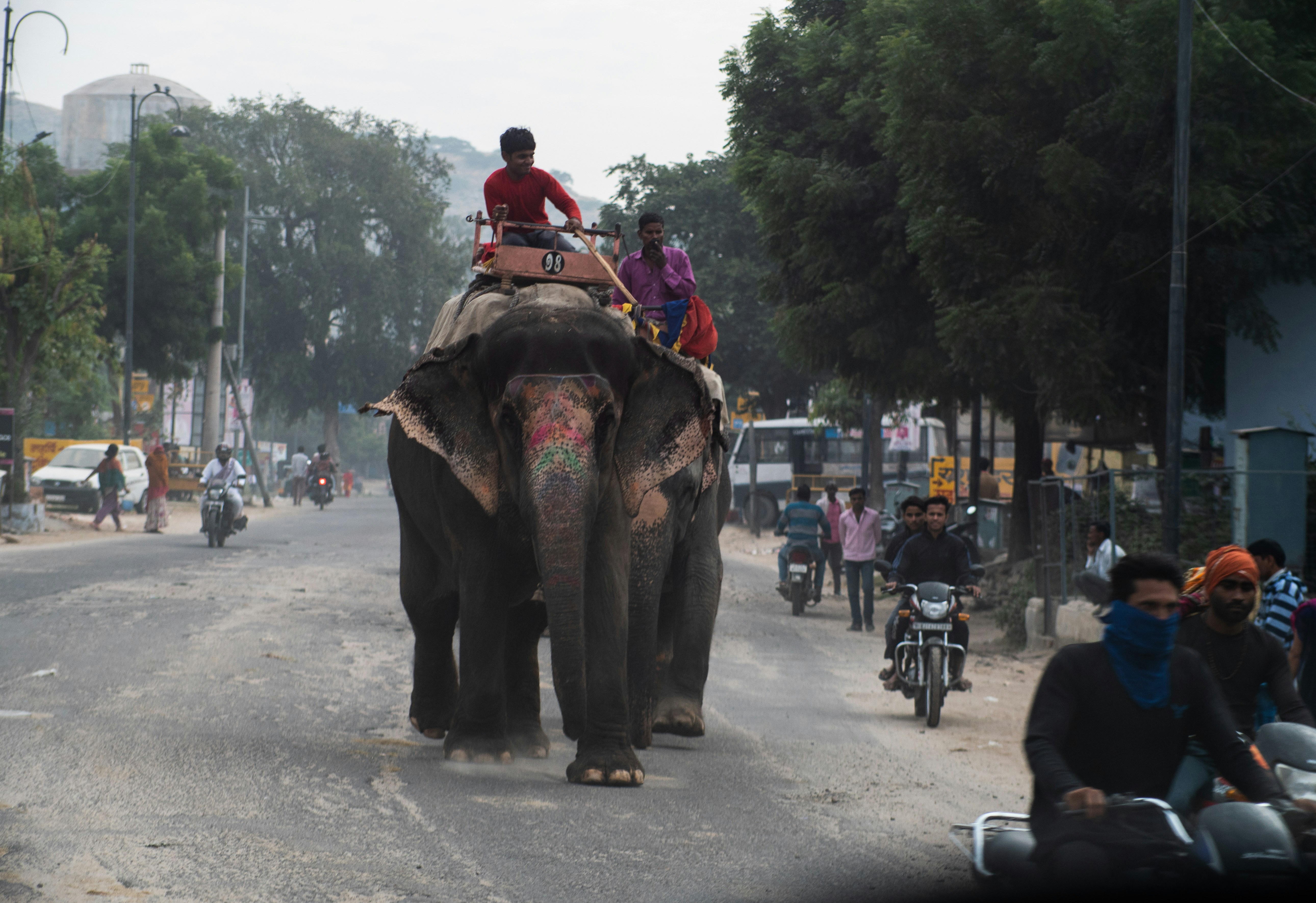 people riding on elephant during daytime