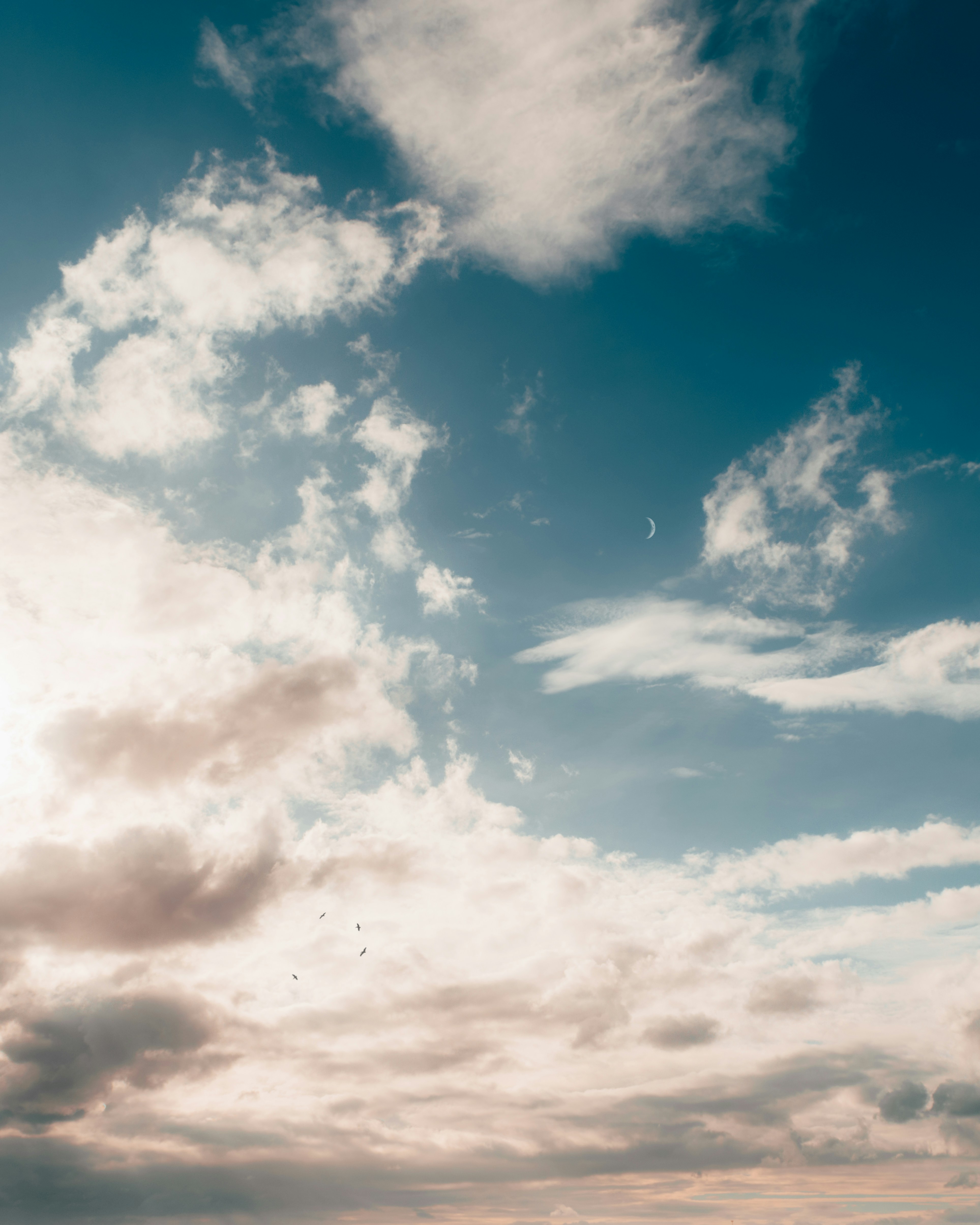 MOON GLOBAL - Payhip