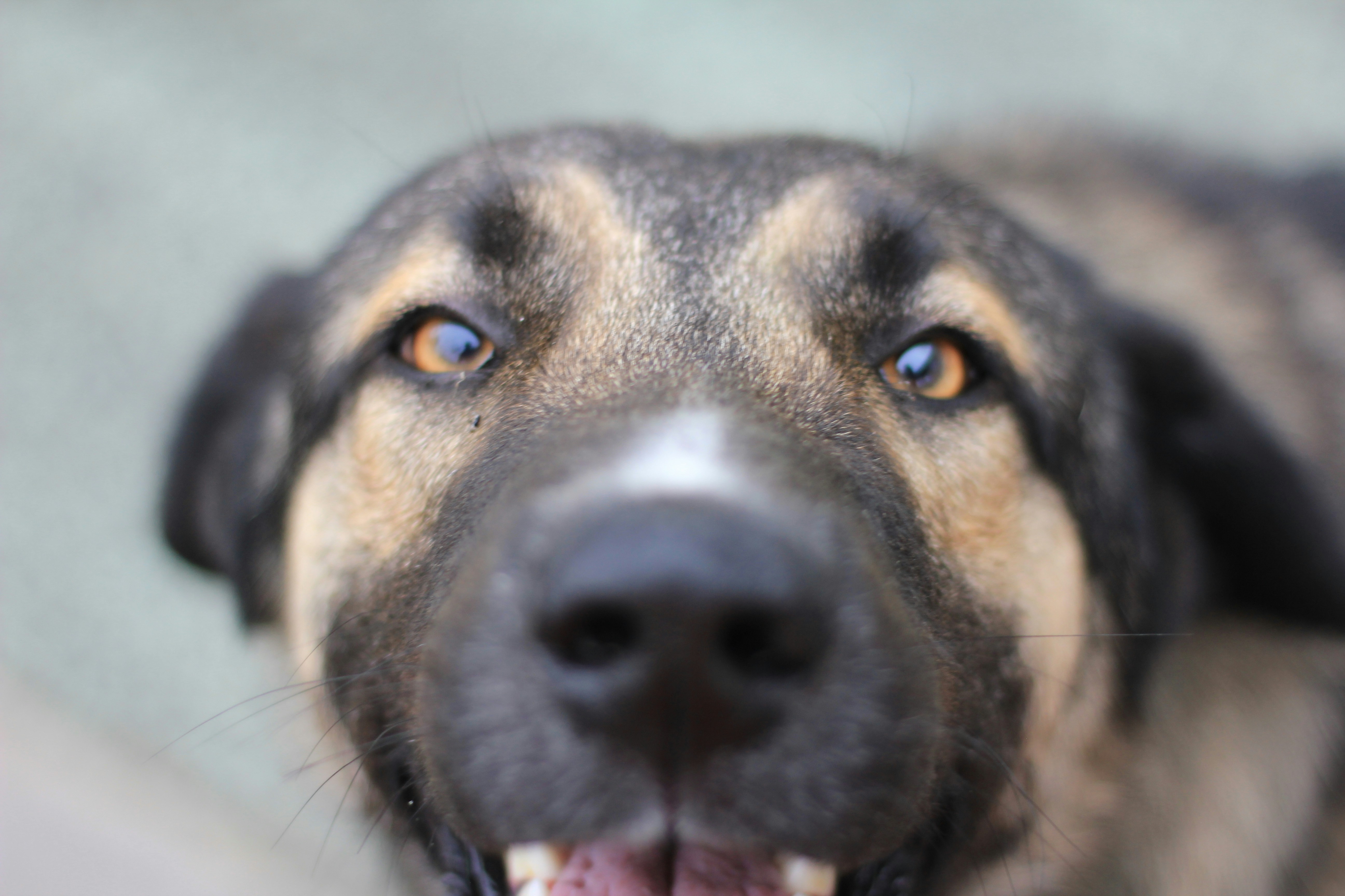 Nabeglavi Photos | Télécharger des images gratuites sur Unsplash