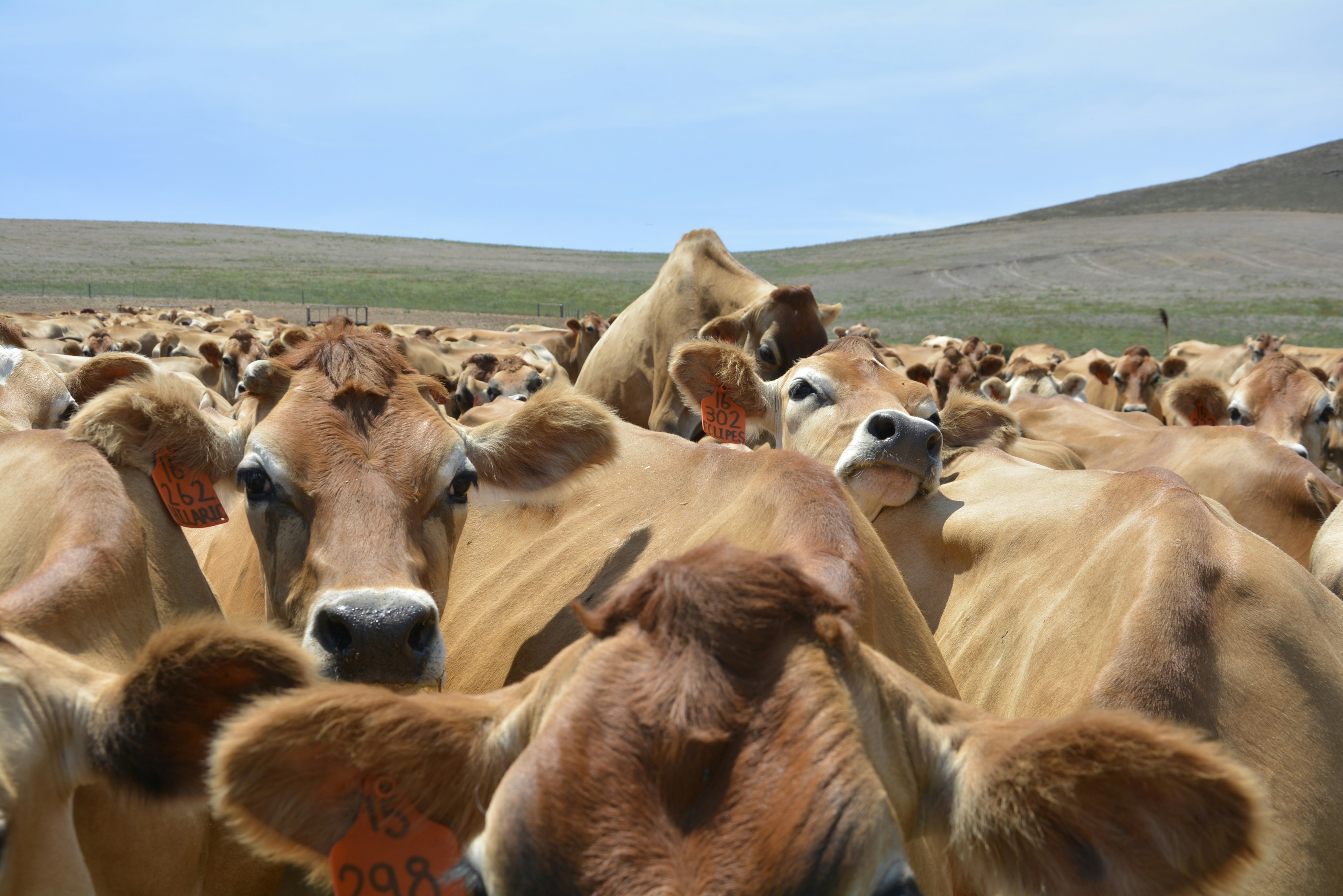 Photo by Shannon Murison with Nikon D7100