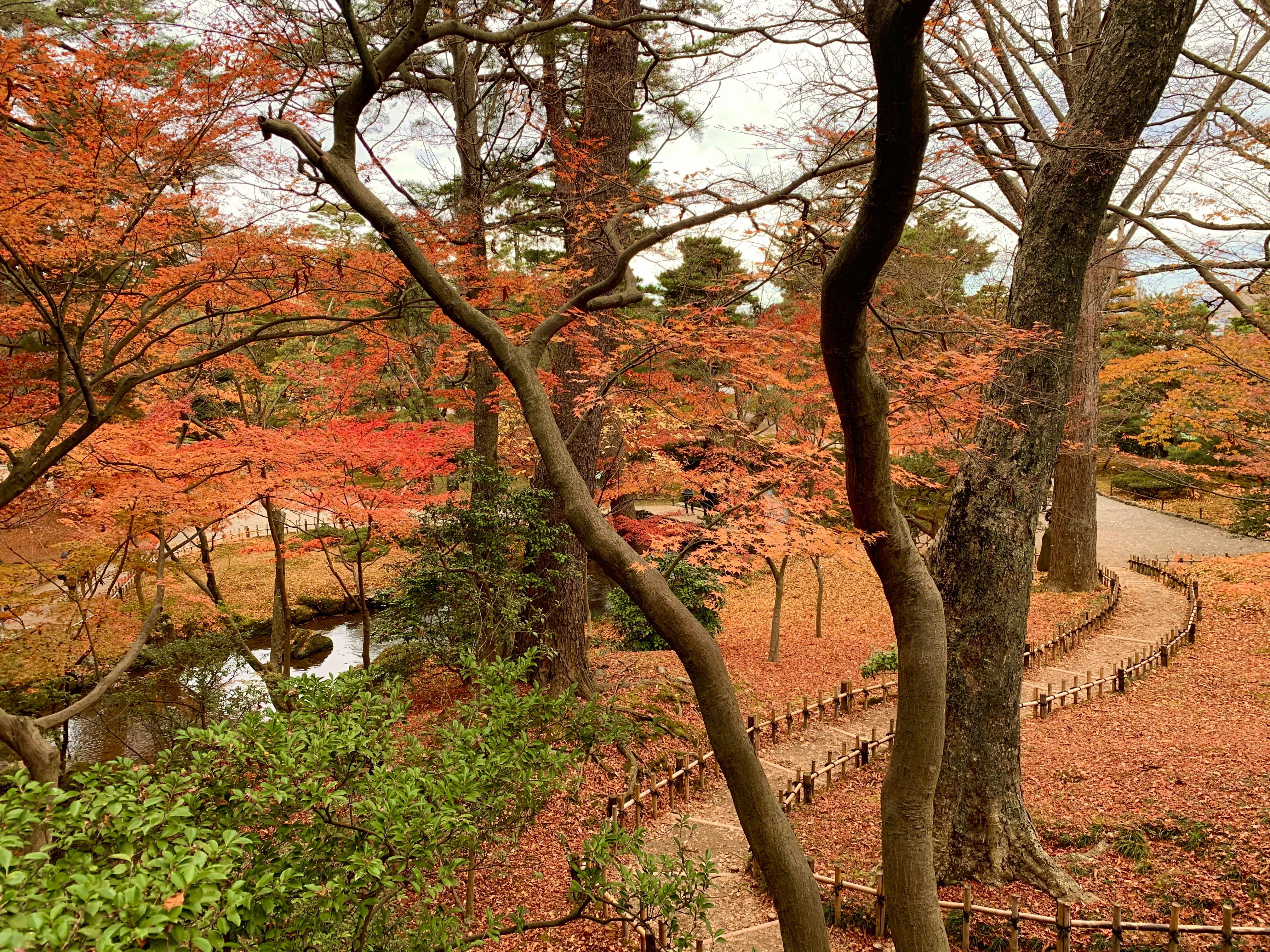 Curved Path Through a Rust-Red Autumn Forest