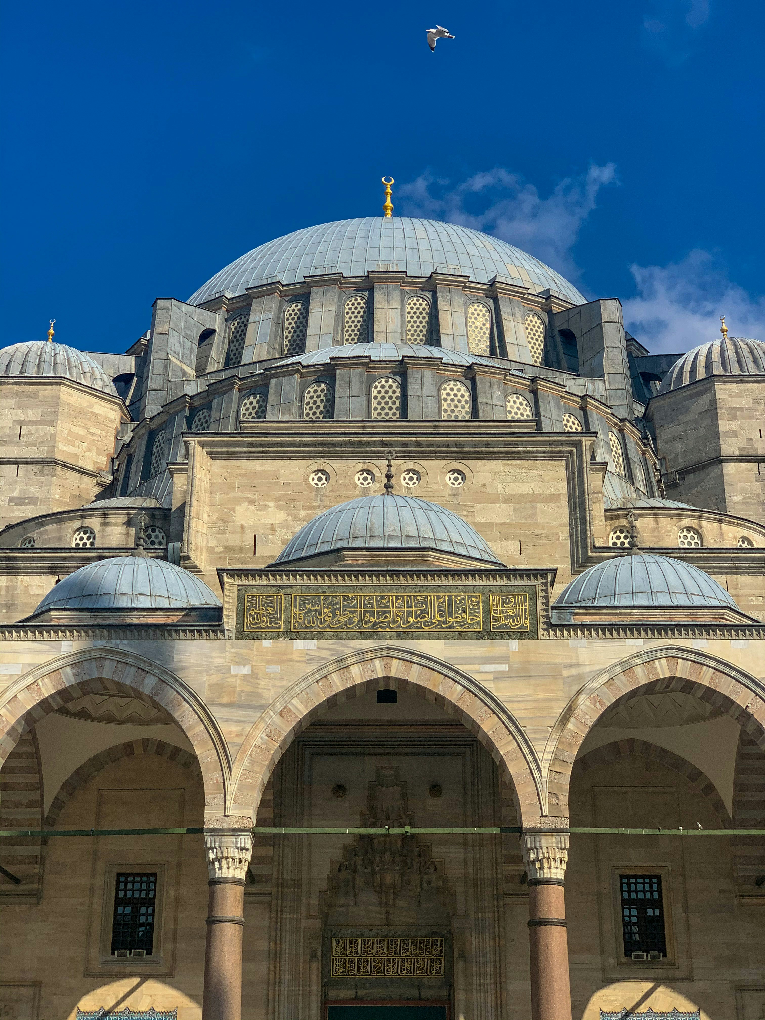 Photo by Beyza Nur Kocaosmanoğlu with Apple iPhone XS