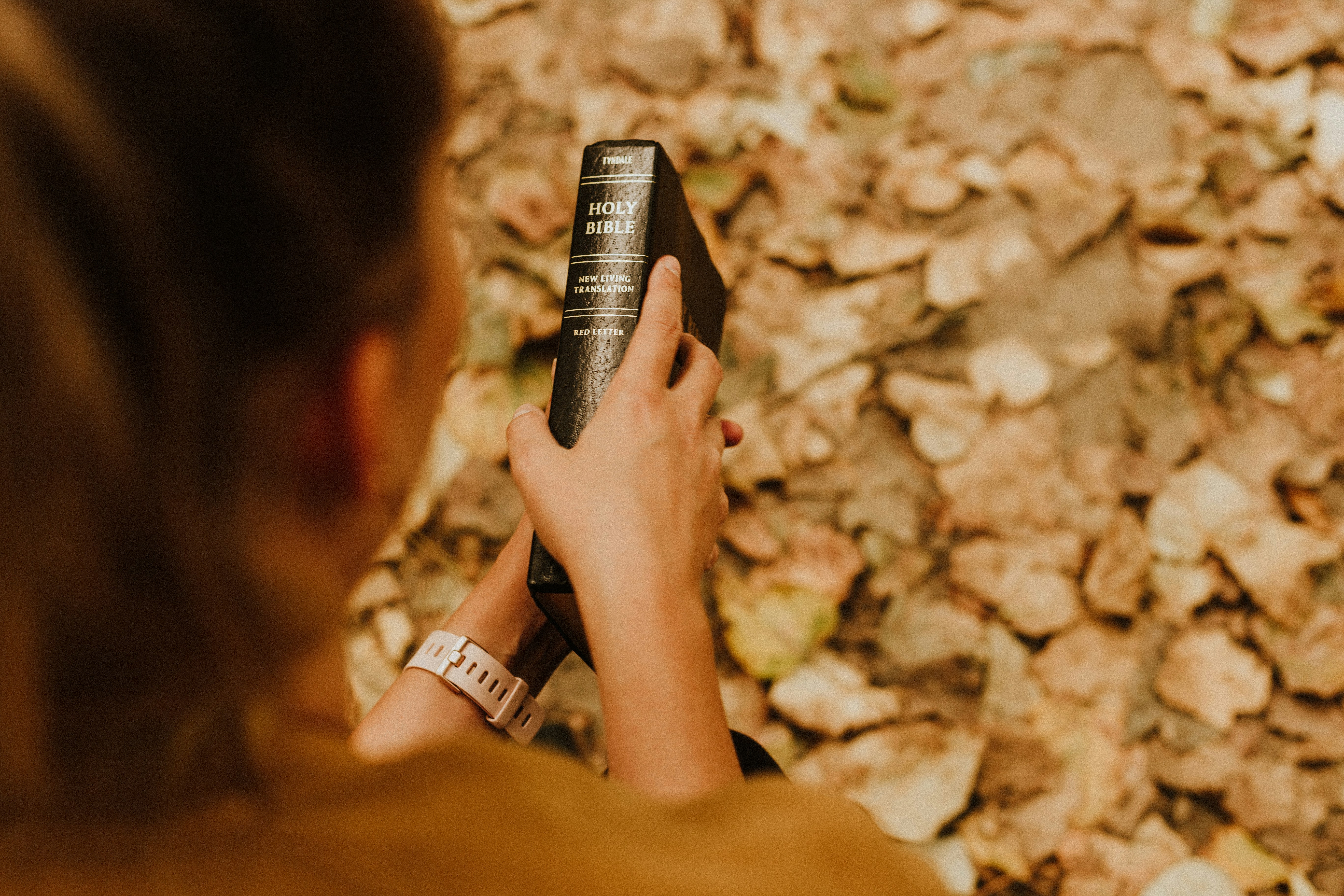 Close-up of hands gripping a Holy Bible flashlight-style device in a leaf-strewn setting