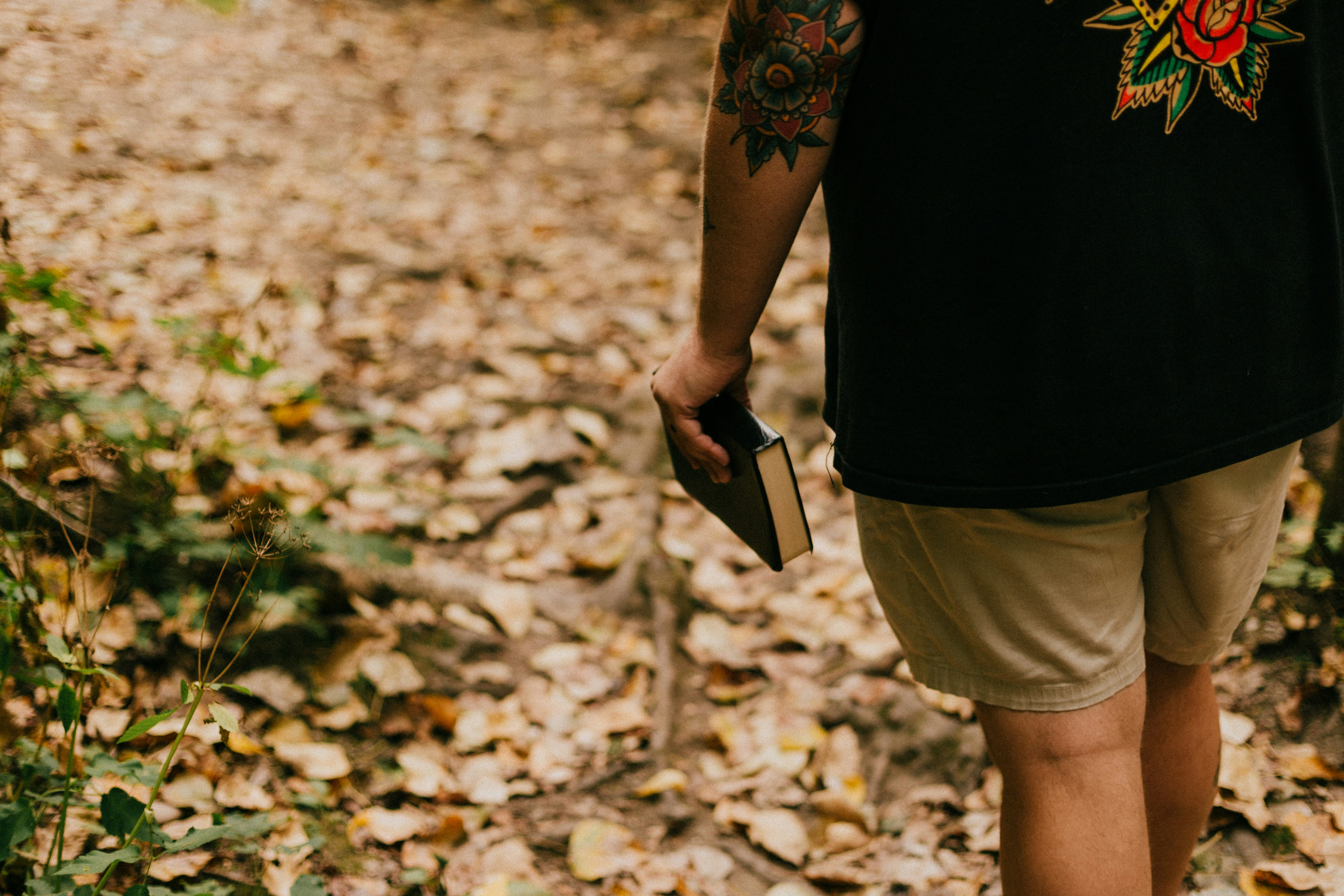 Person walking on a leaf-covered path in a forest, holding a book. The scene conveys a sense of tranquility and exploration.