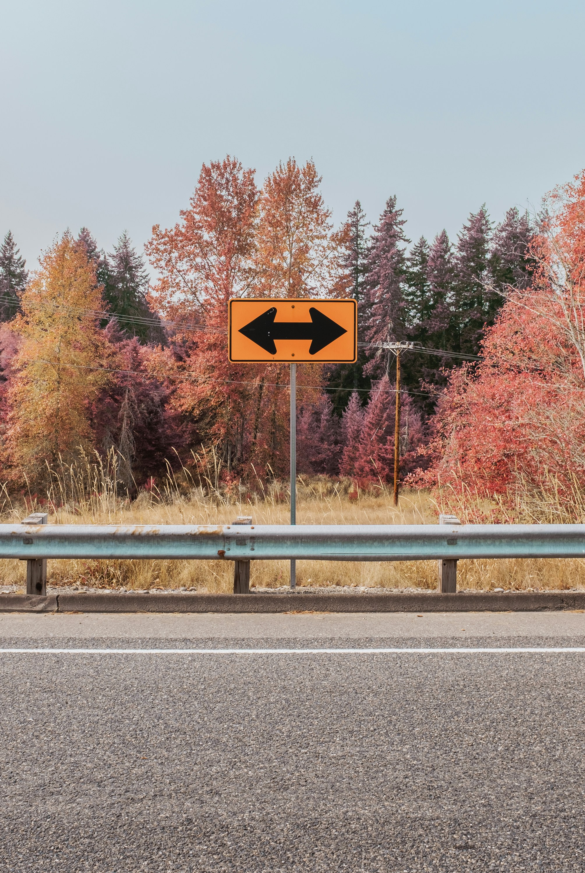 Split-Decision on the Highway: A Double-Arrow Street Sign Between Autumn Tones