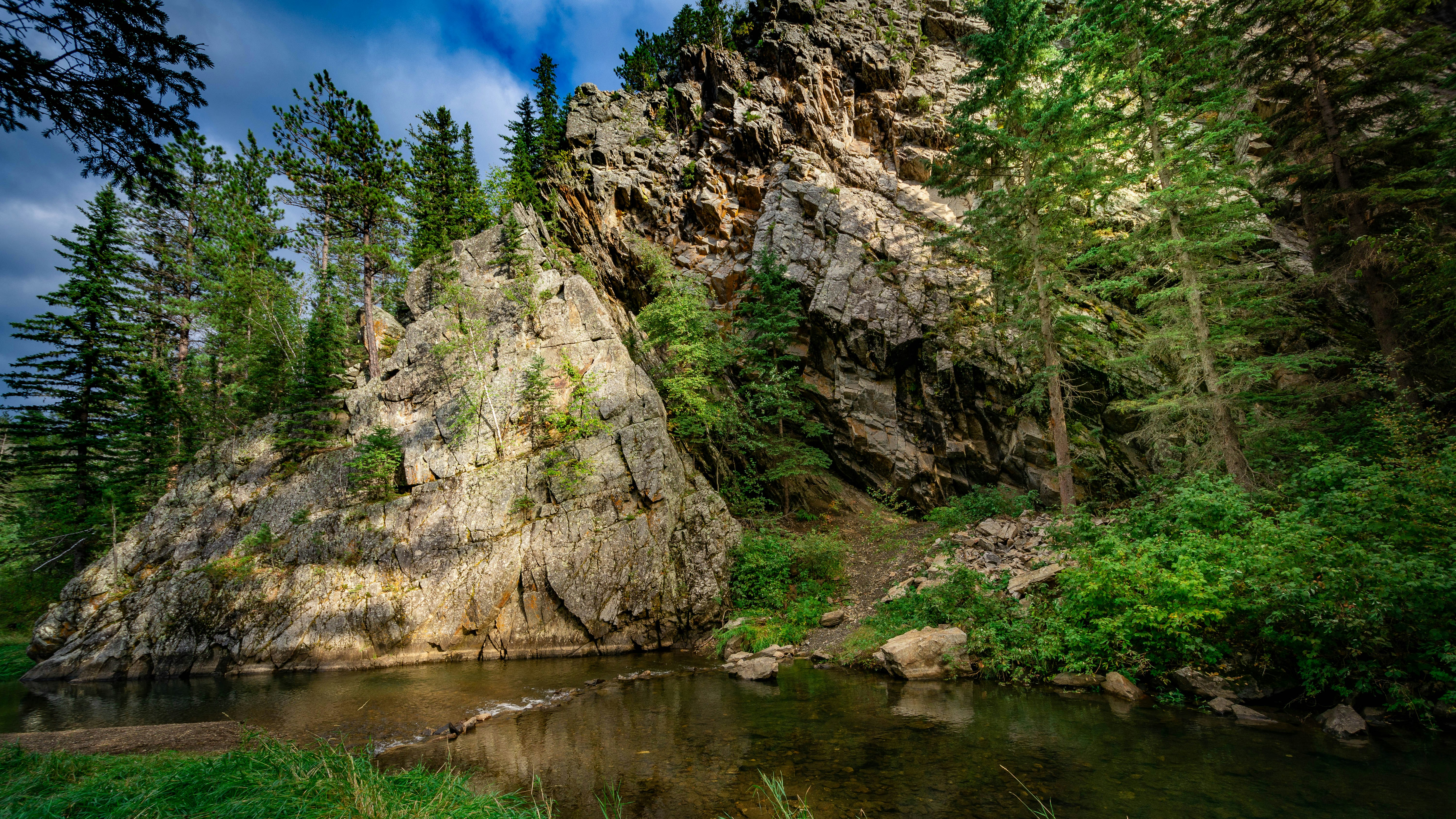 Green trees beside river during daytime photo – Free Nemo Image on Unsplash