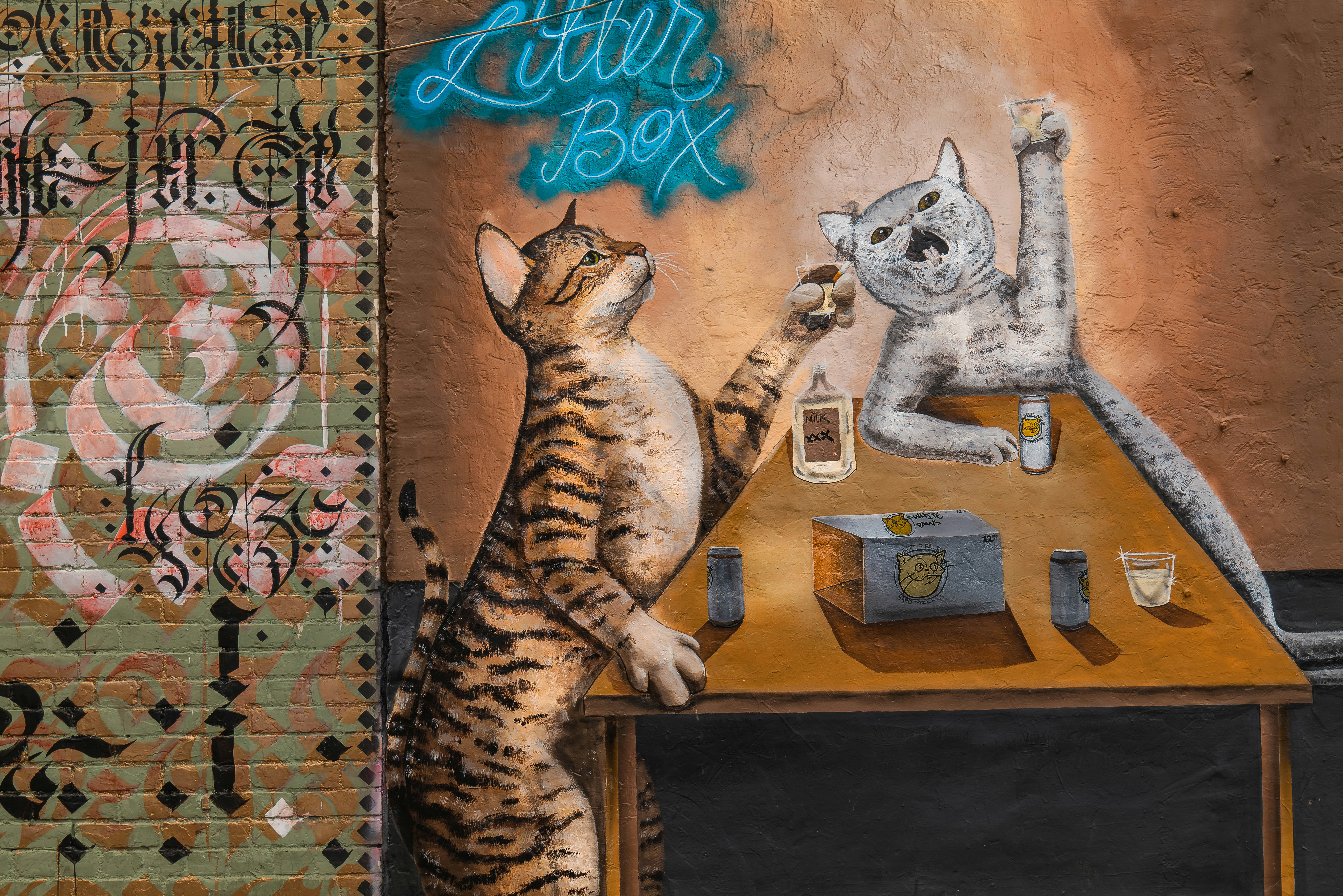 100+ Png Pictures [HD] | Download Free Images on Unsplash