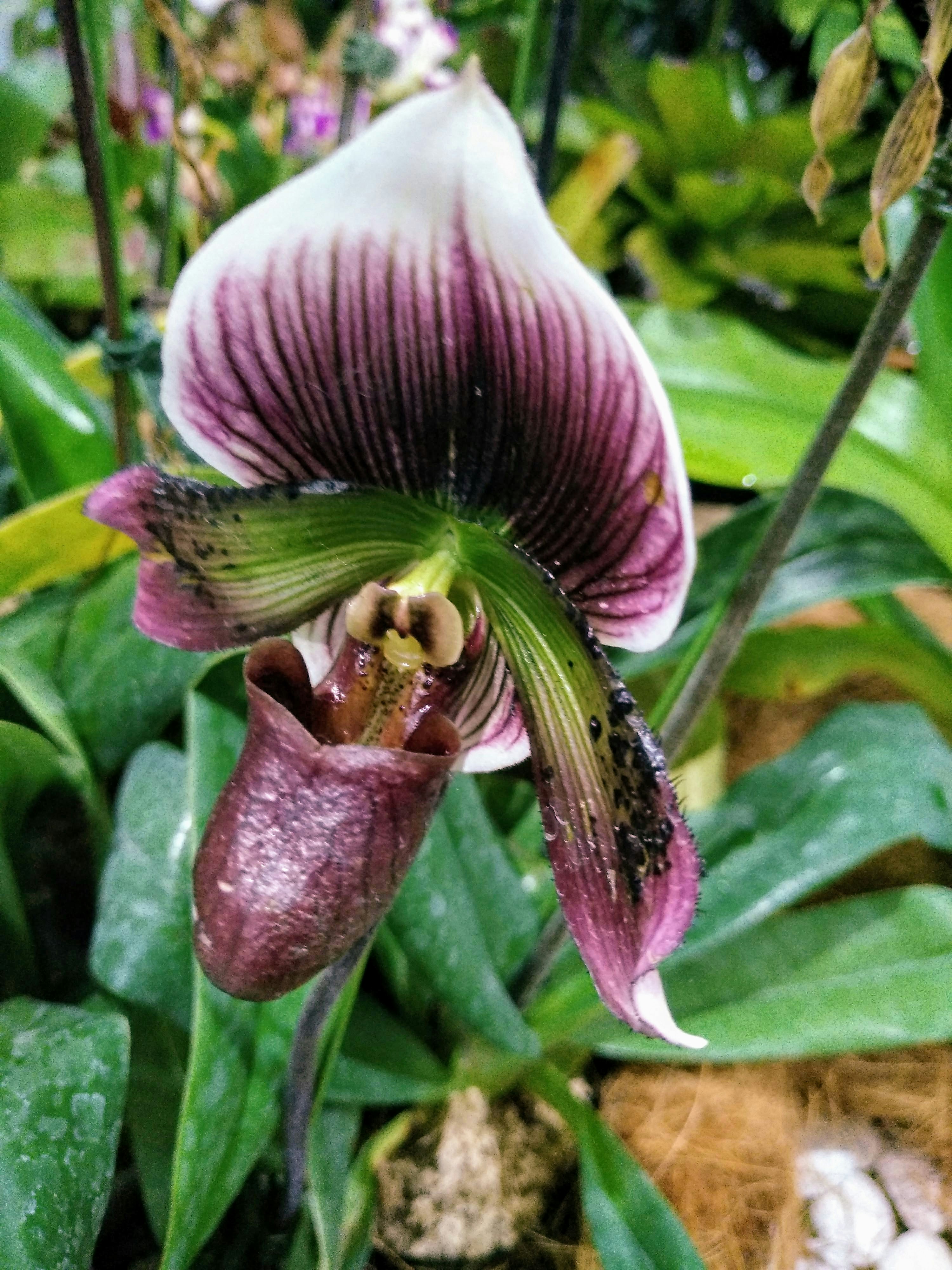 Sasha India (@sasha_india) | Comunidade de fotos da Unsplash