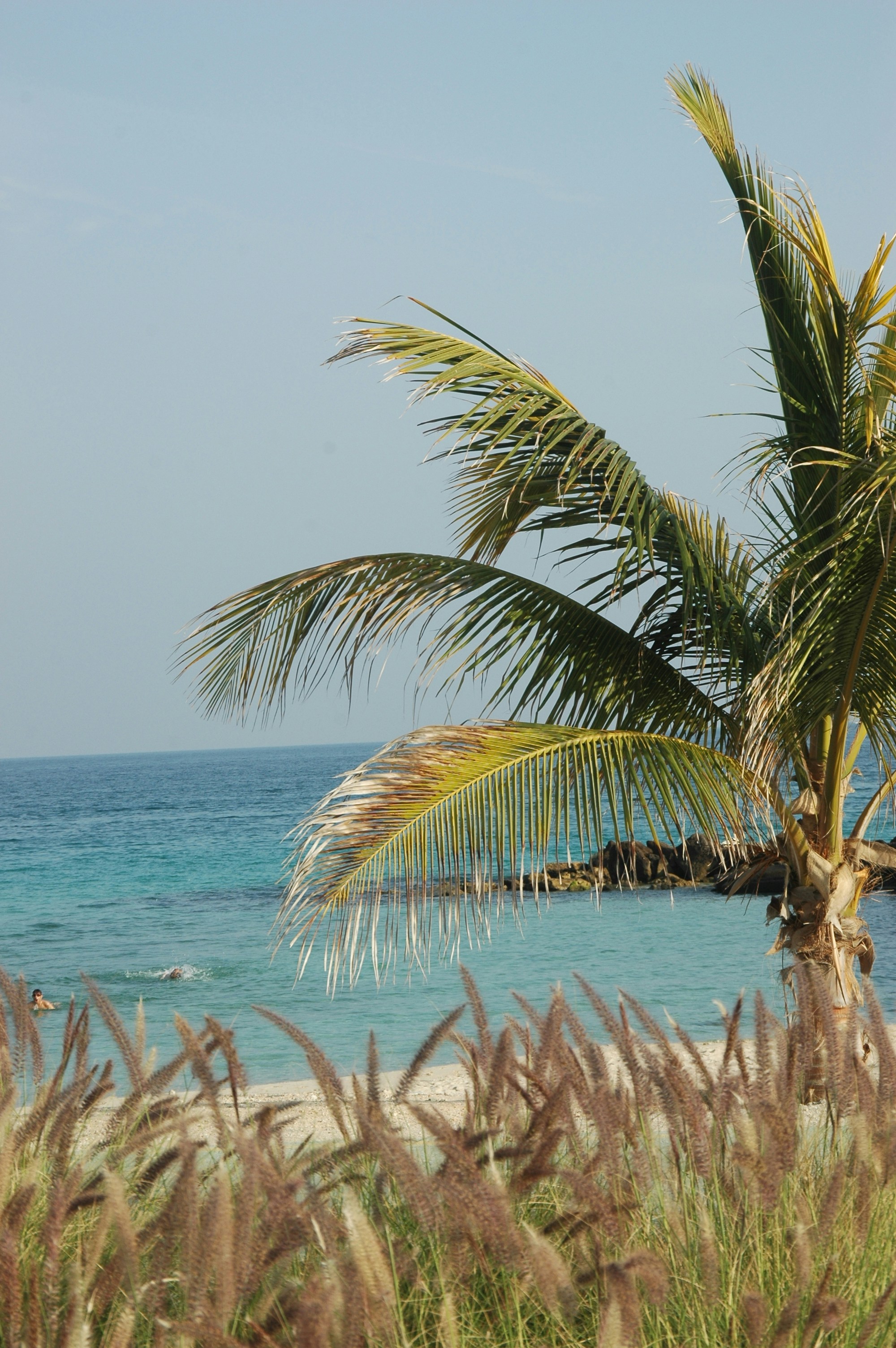 Kish Island - Iran
 جزیره کیش
