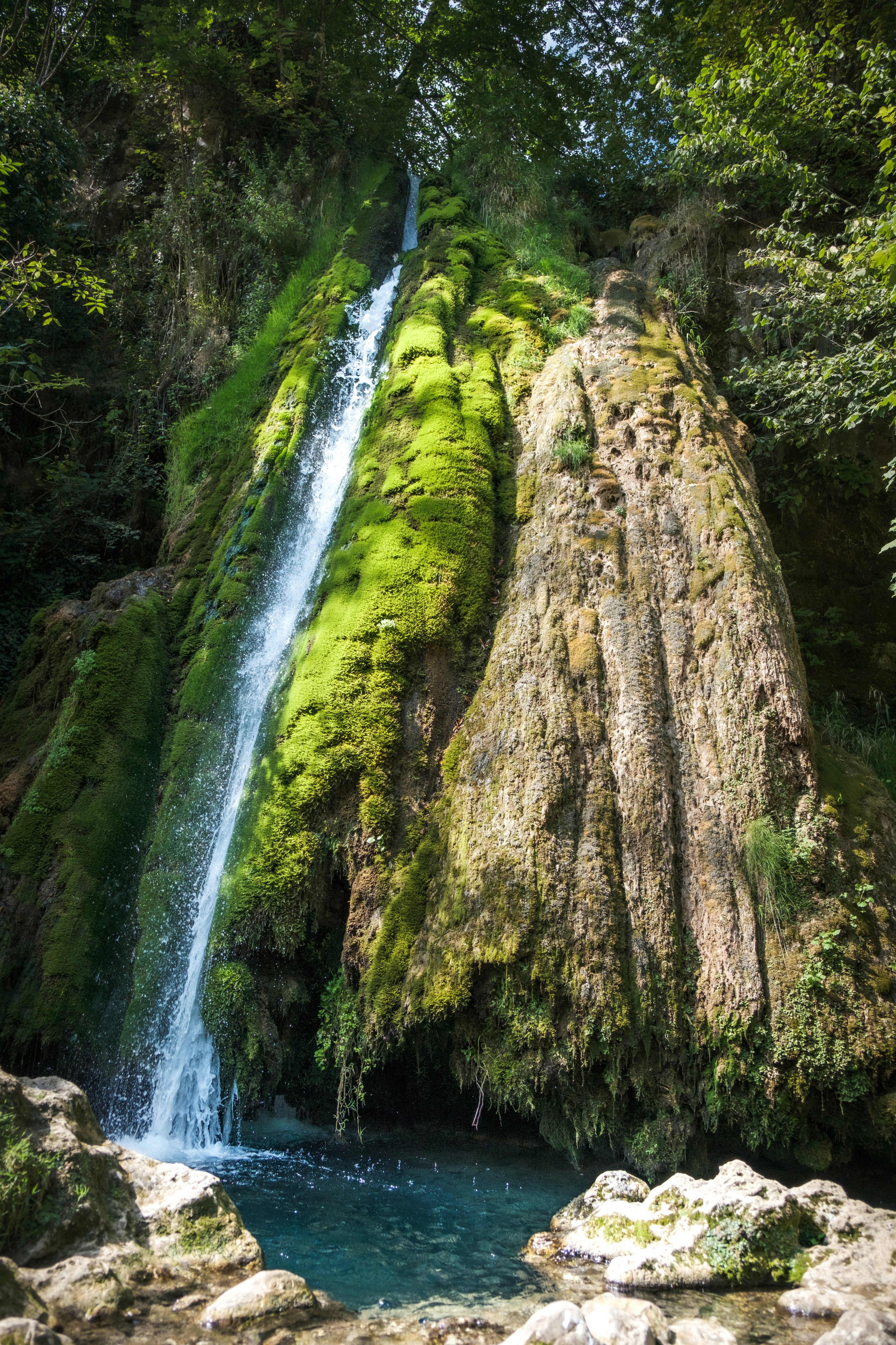 Water falls in the middle of the forest photo – Free Nature Image on ...