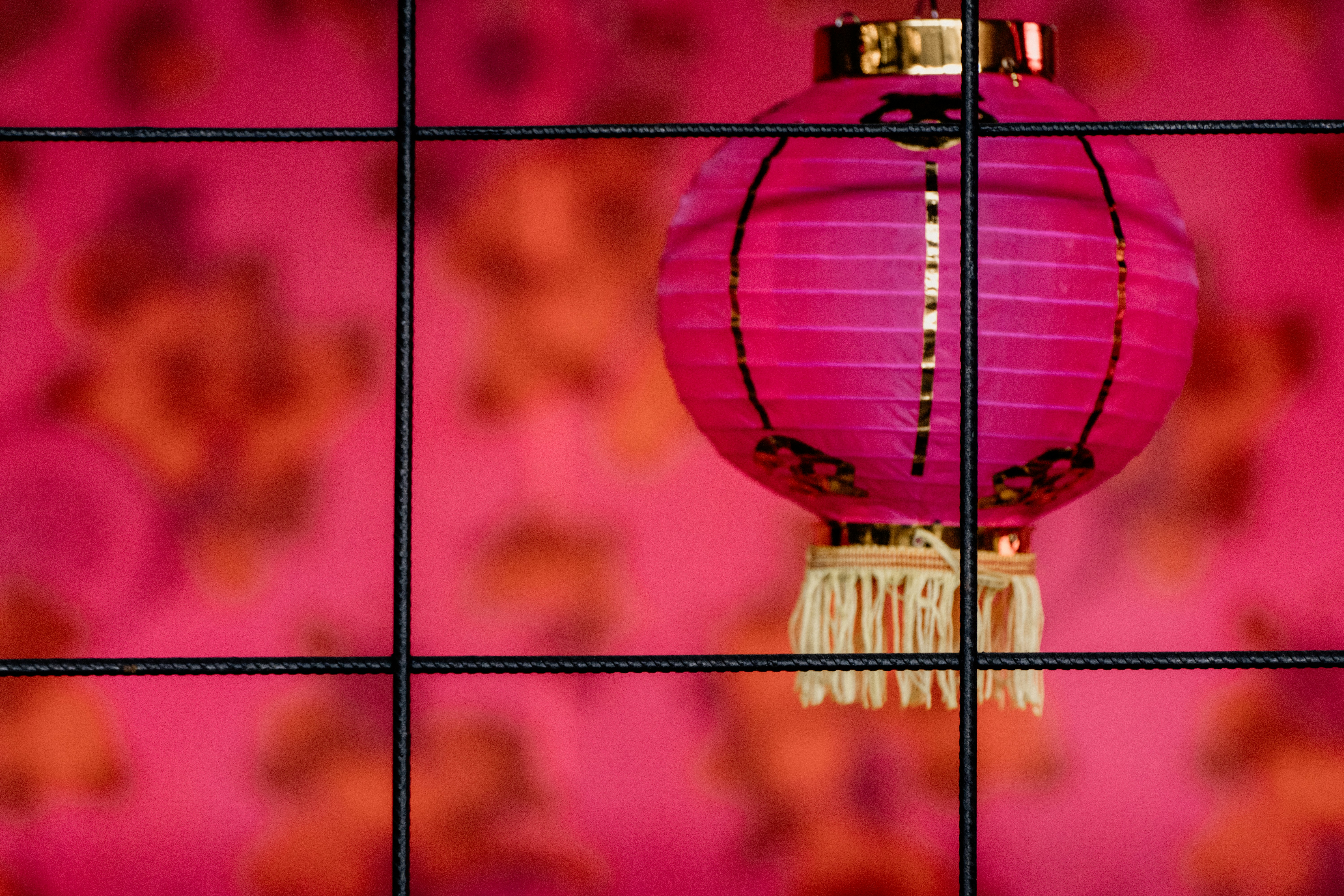 Pink Lantern Framed by Grid: A Close-up of Quiet Festivity