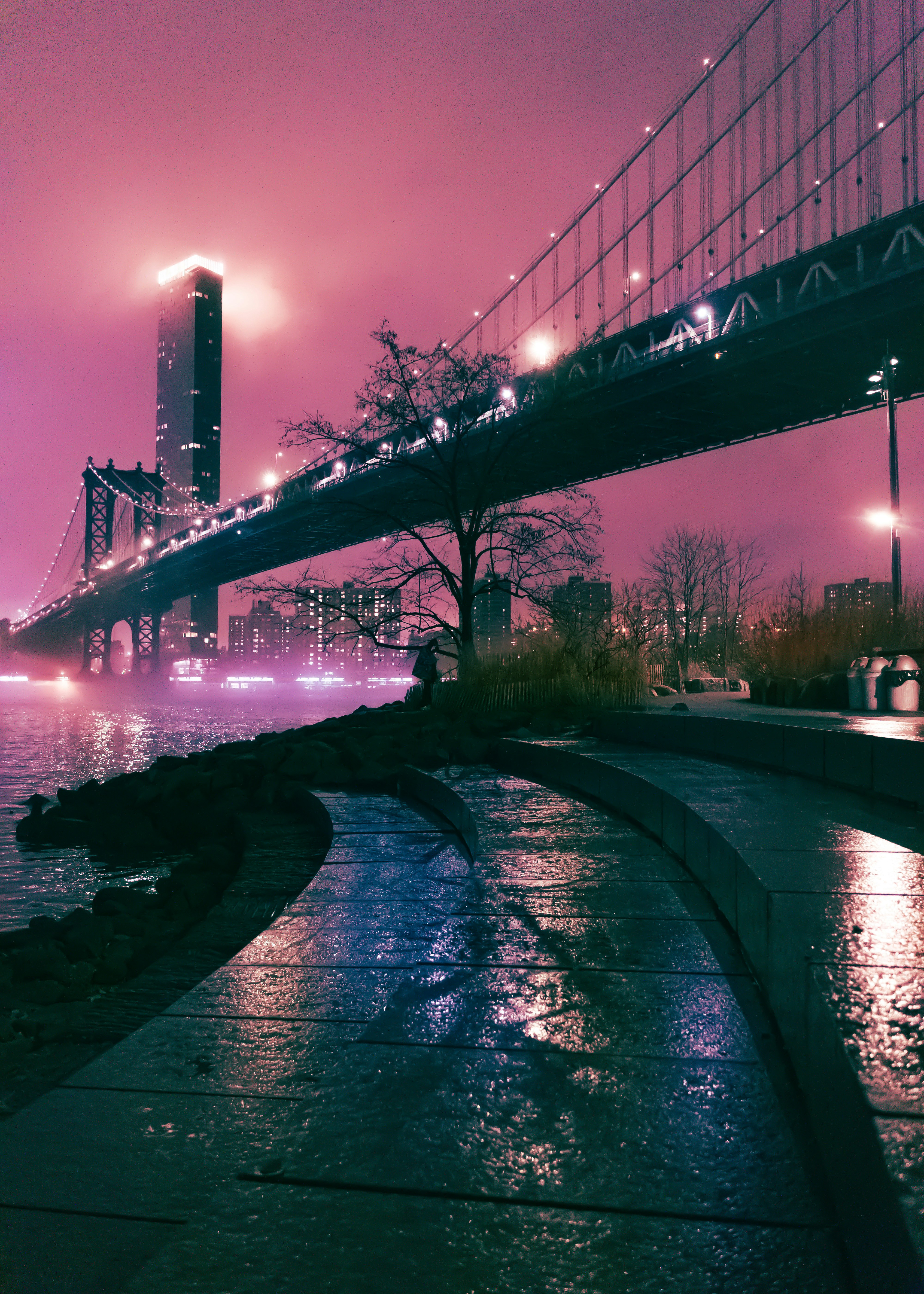 Ultraviolet Twilight by the Waterfront: Promenade Beneath a Cable-Stayed Bridge