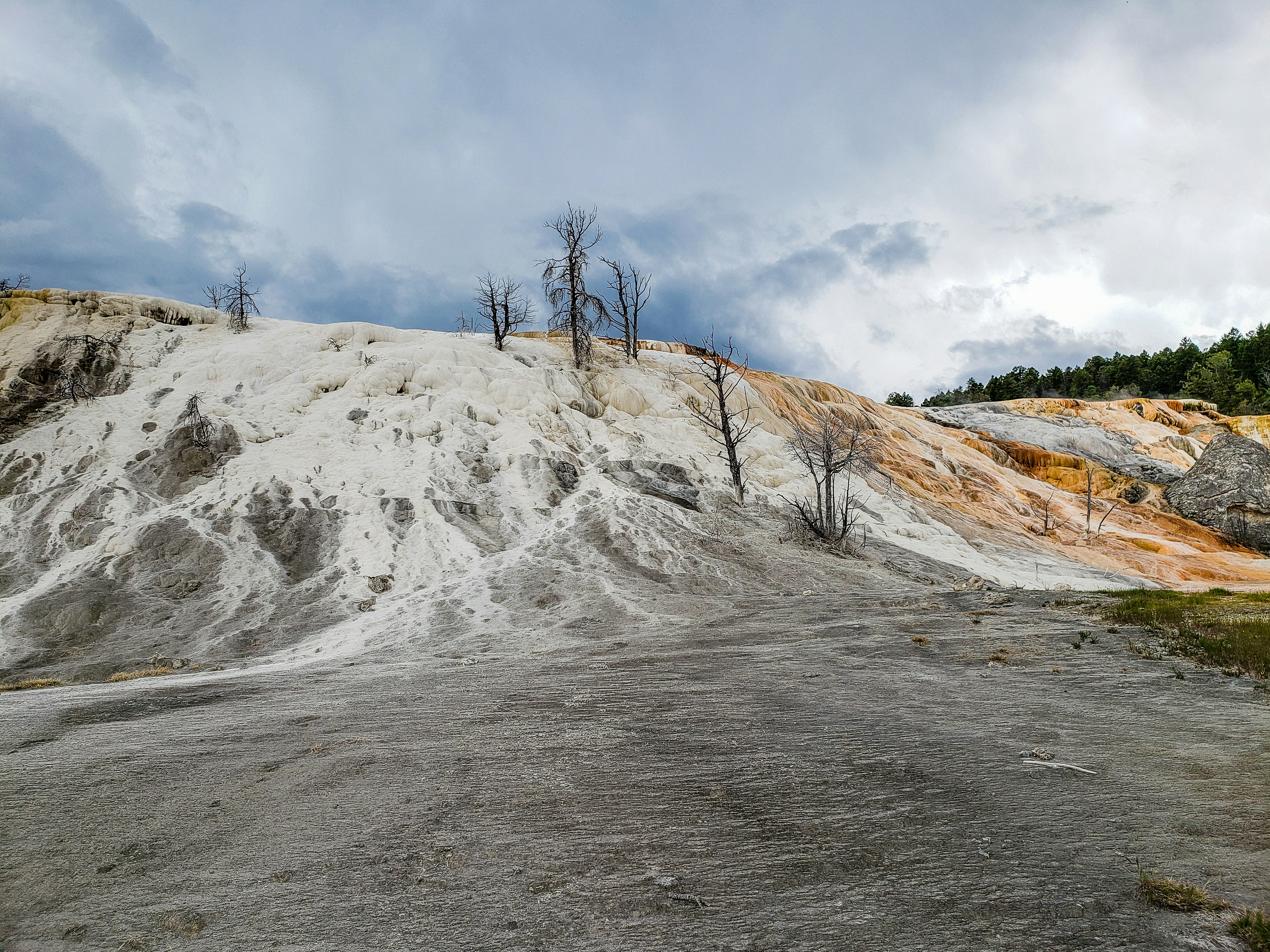 Ghost Ridge: Dead Trees Guard White Hills Under a Moody Sky