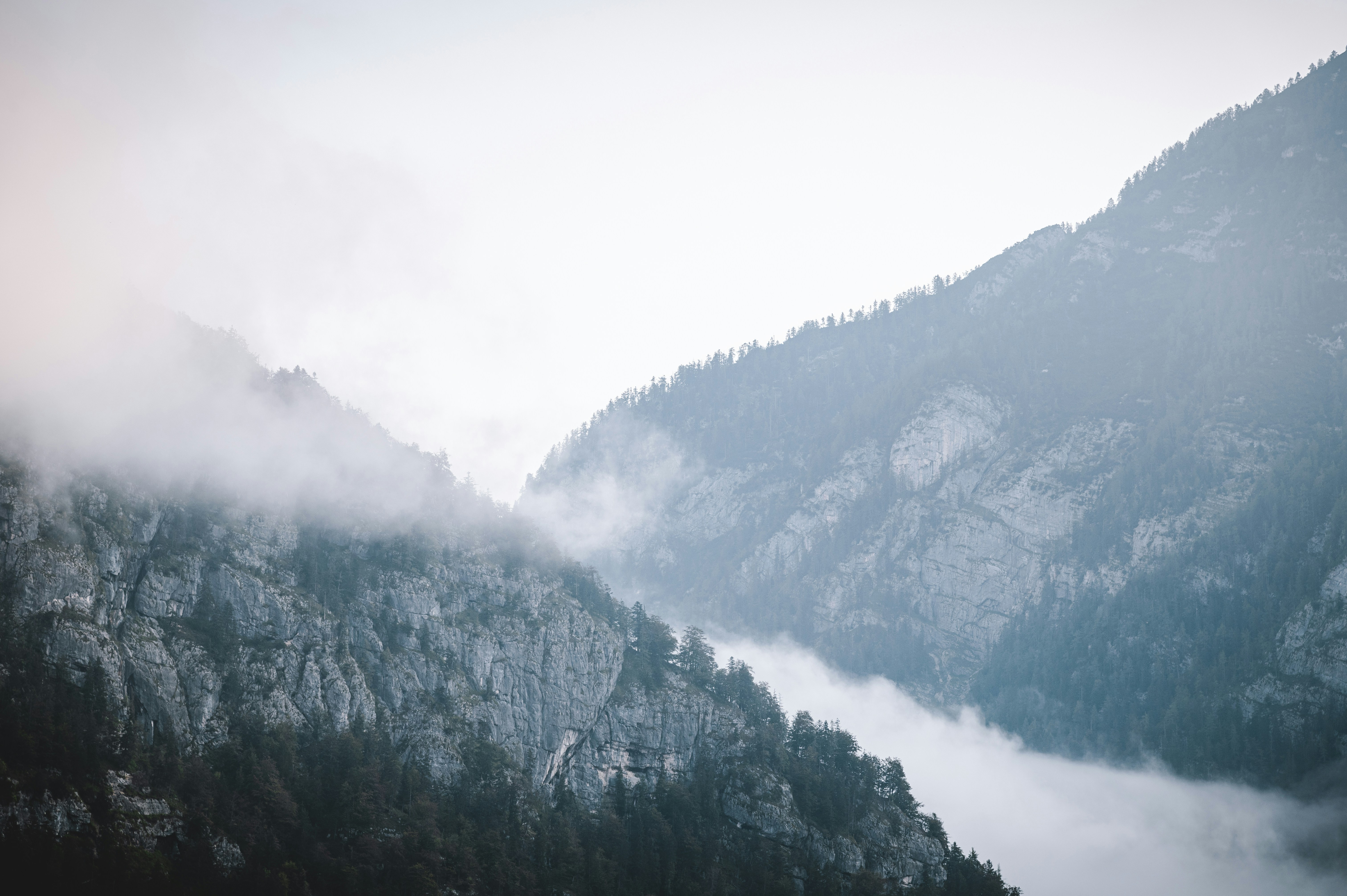 A view of a mountain with fog and low lying trees photo – Free ...