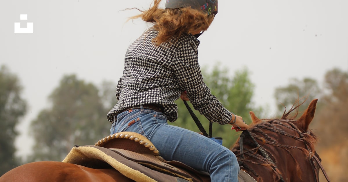 昼間、茶色の馬に乗っている青と白の縞模様の長袖シャツを着た女性の写真 Unsplashの馬の無料画像