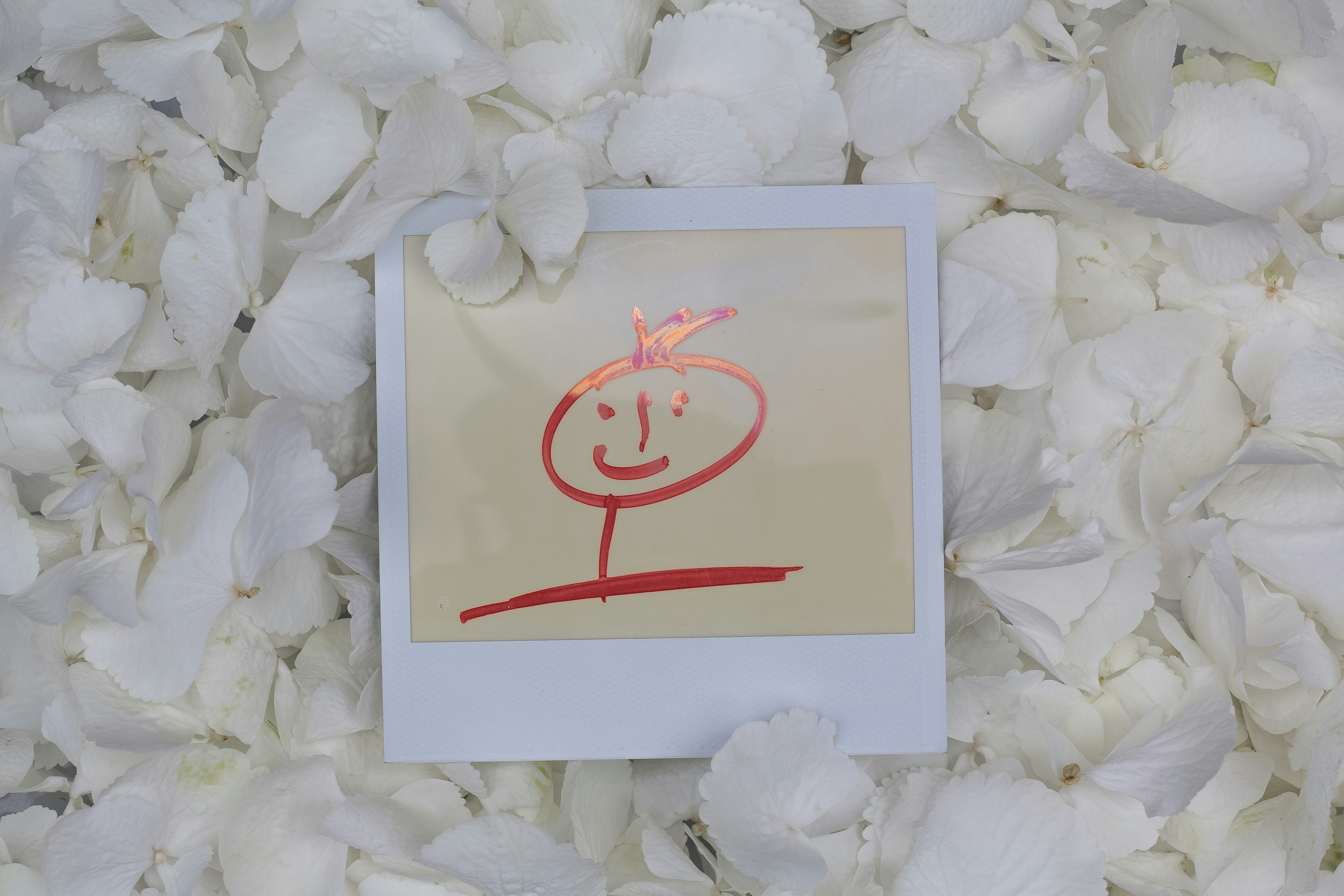 Crimson Doodle on a Pearl Petal Canvas